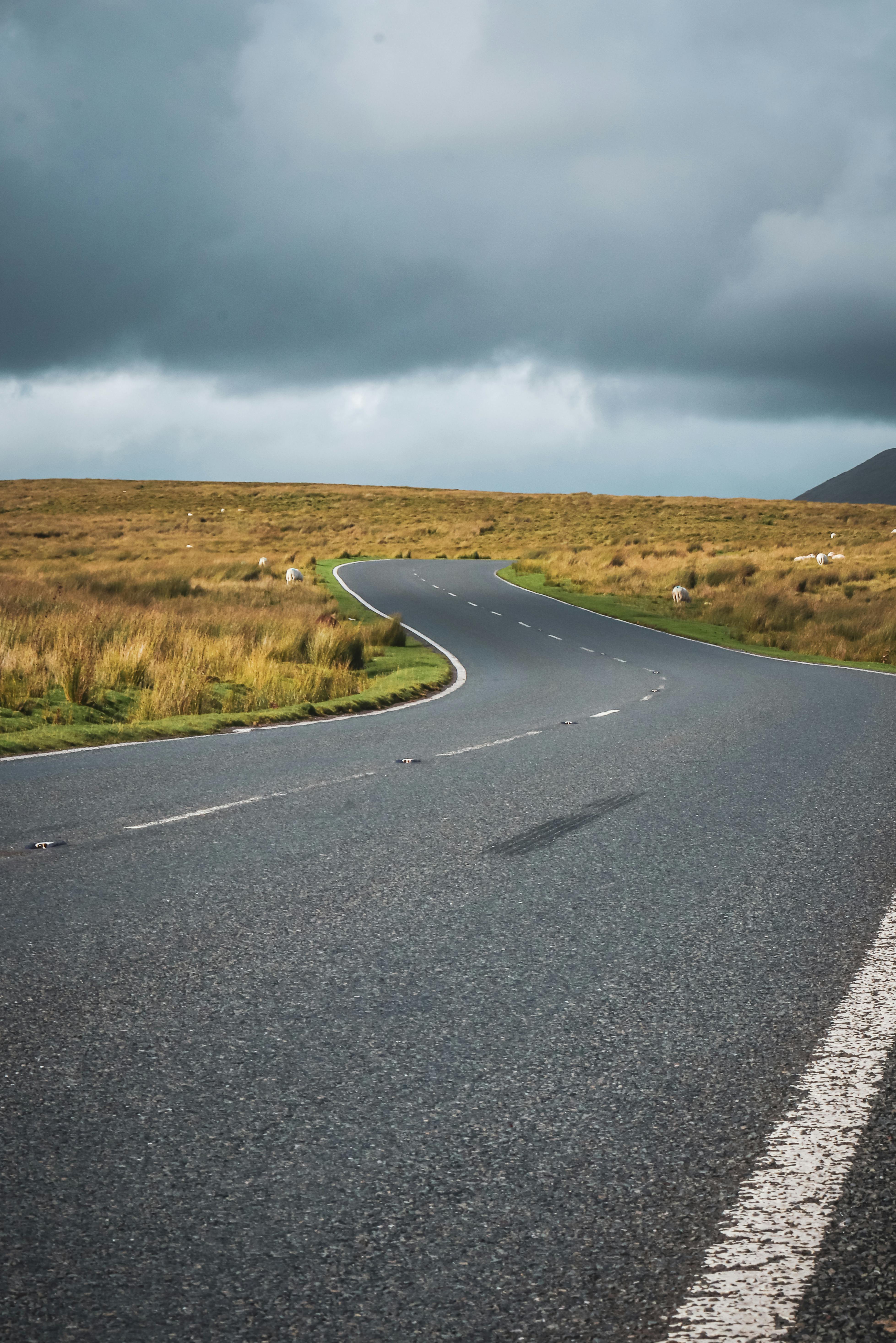 Winding Road on Plain · Free Stock Photo
