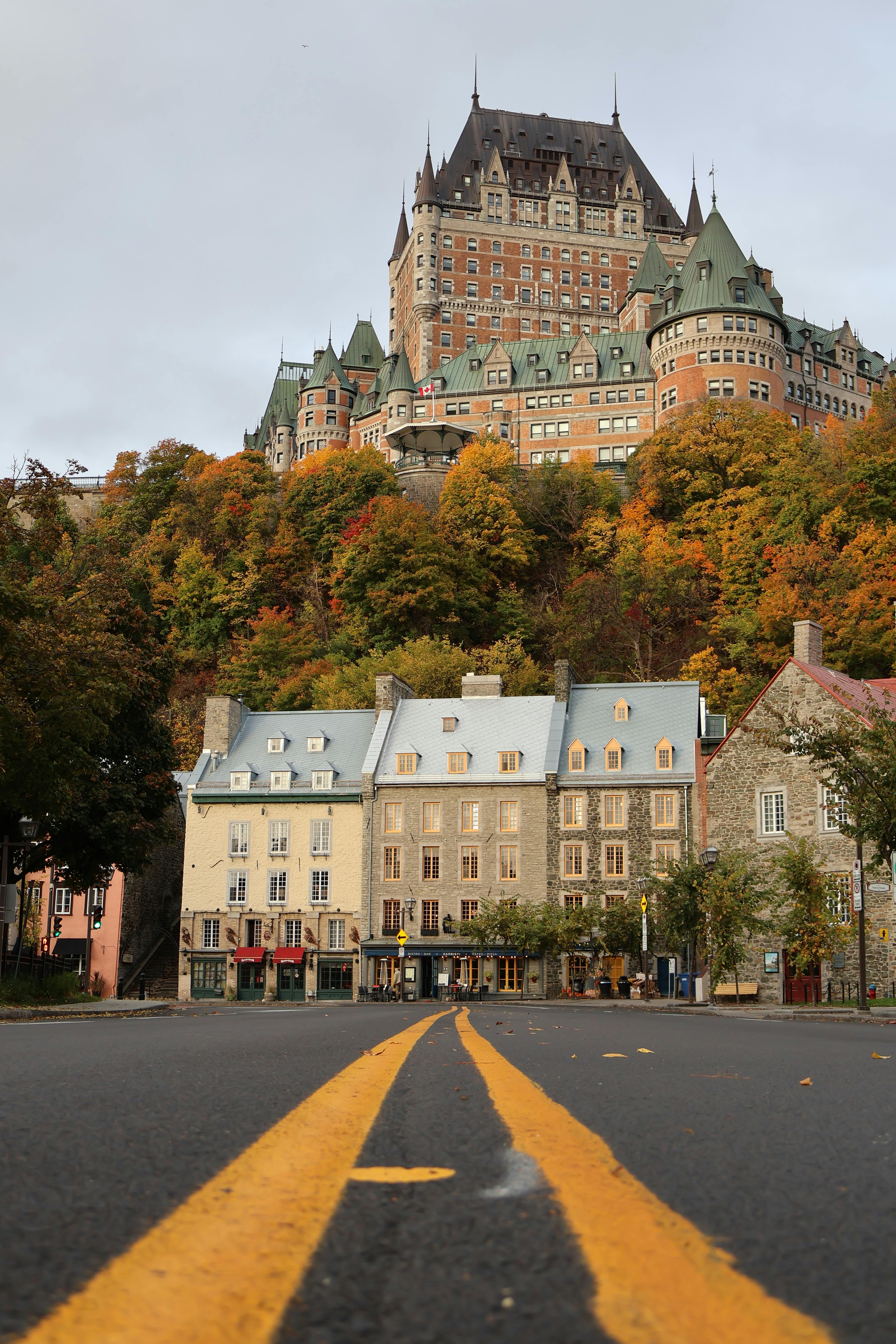 Ücretsiz abd, açık fotoğraf, açık hava, ağaçlar, arnavut kaldırımlı ...