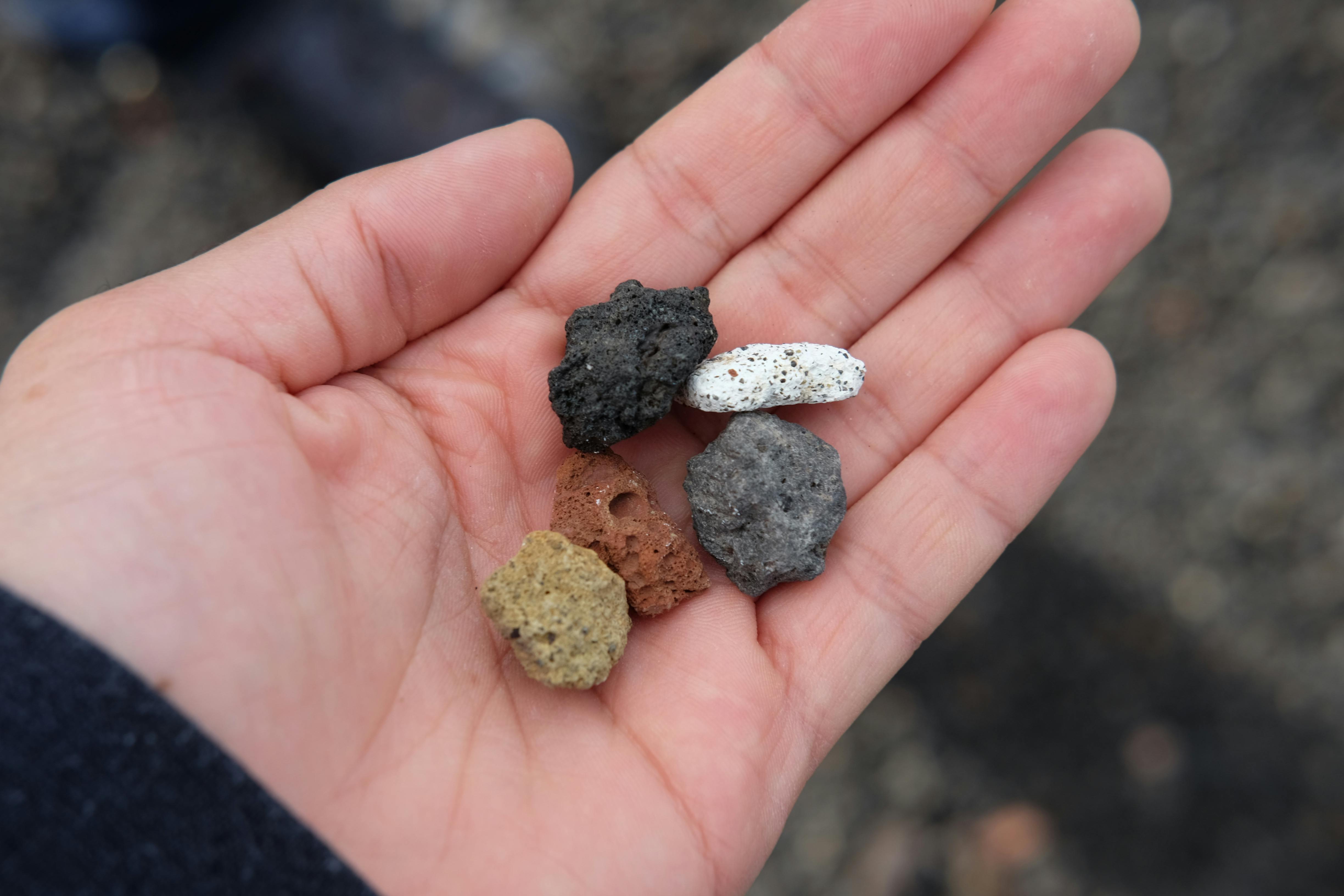 Natural Pumice Pebbles on the Palm · Free Stock Photo