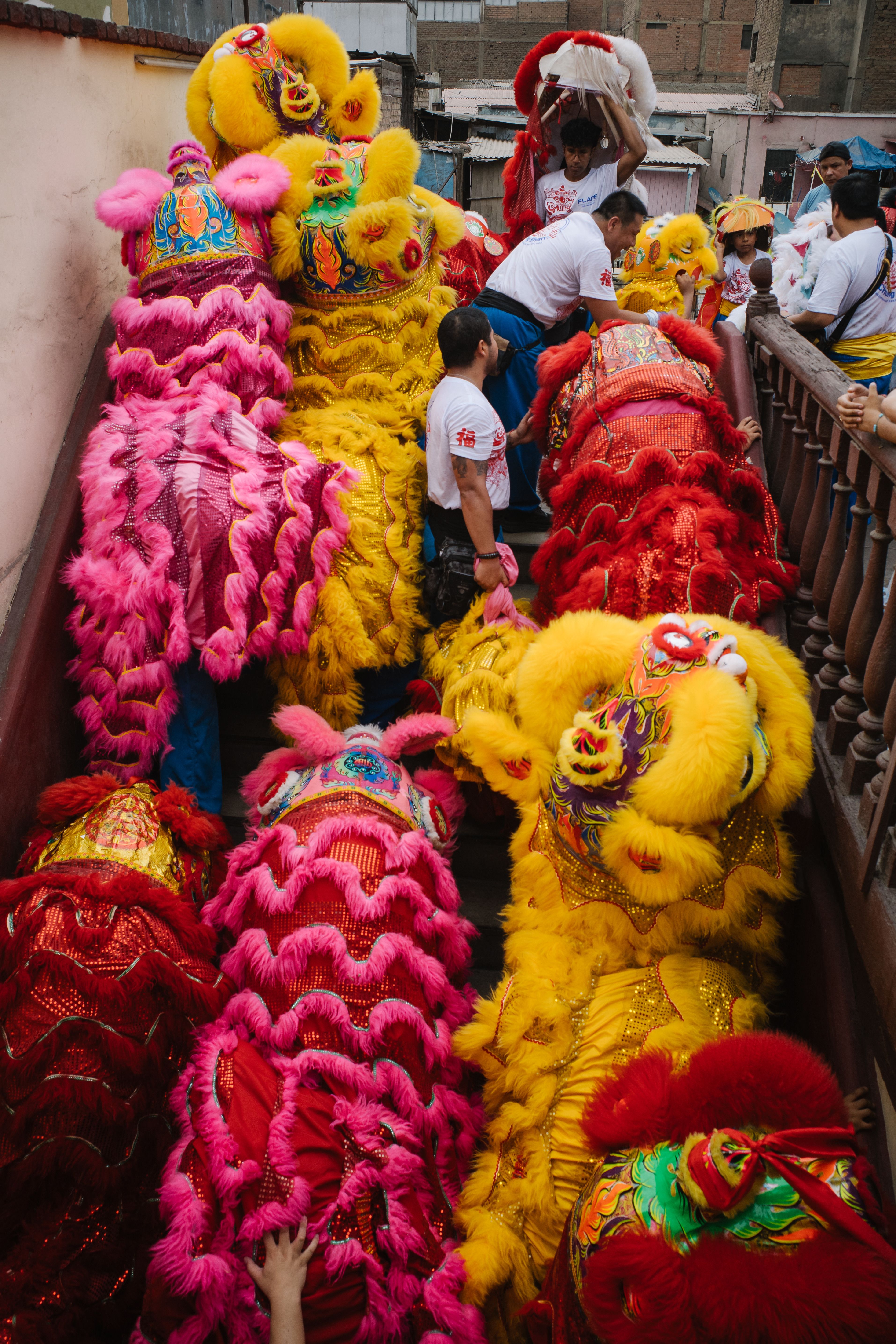 A Dragon Festival · Free Stock Photo