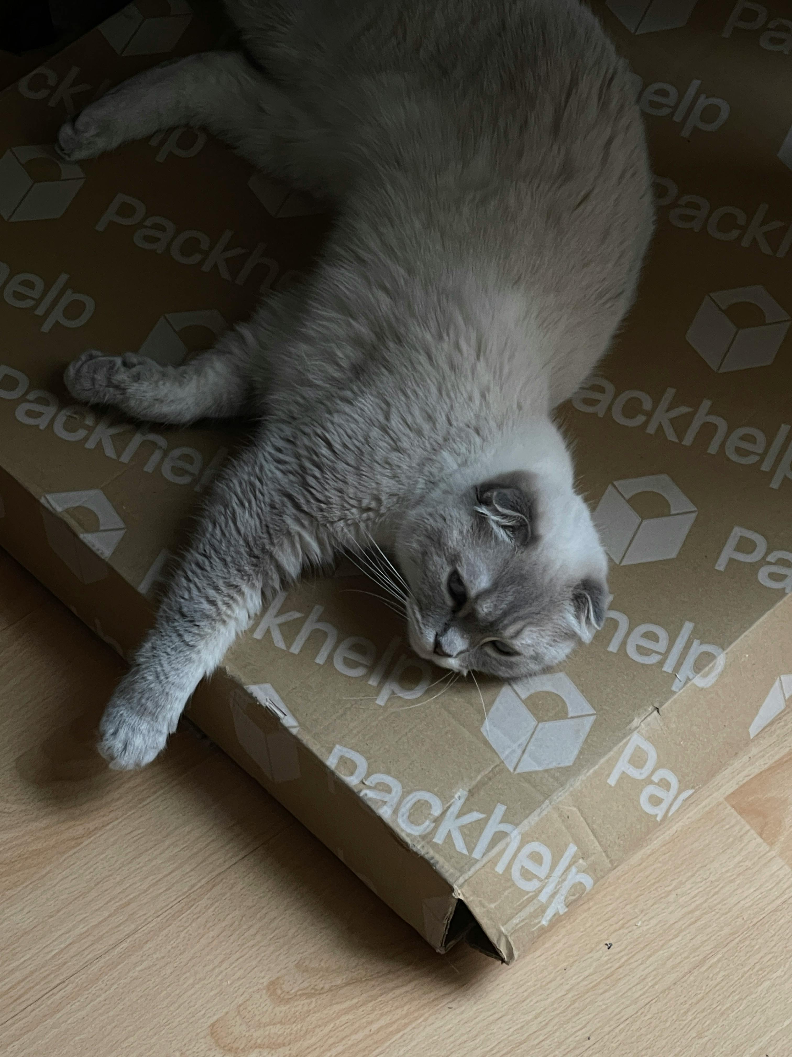 White Paper Bas Photos, Download The BEST Free White Paper Bas Stock ...