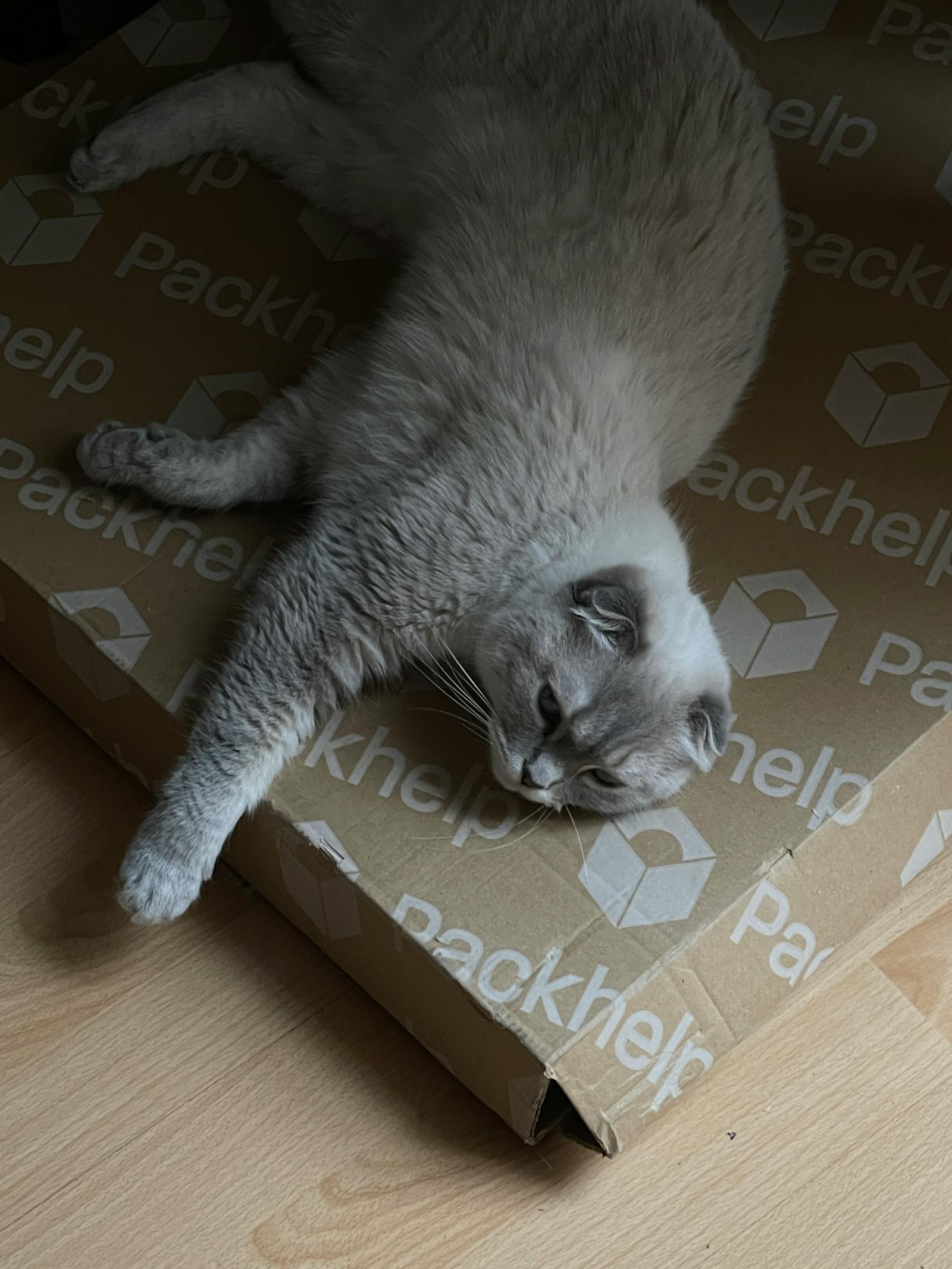 Smashed Paper Photos, Download The BEST Free Smashed Paper Stock Photos ...