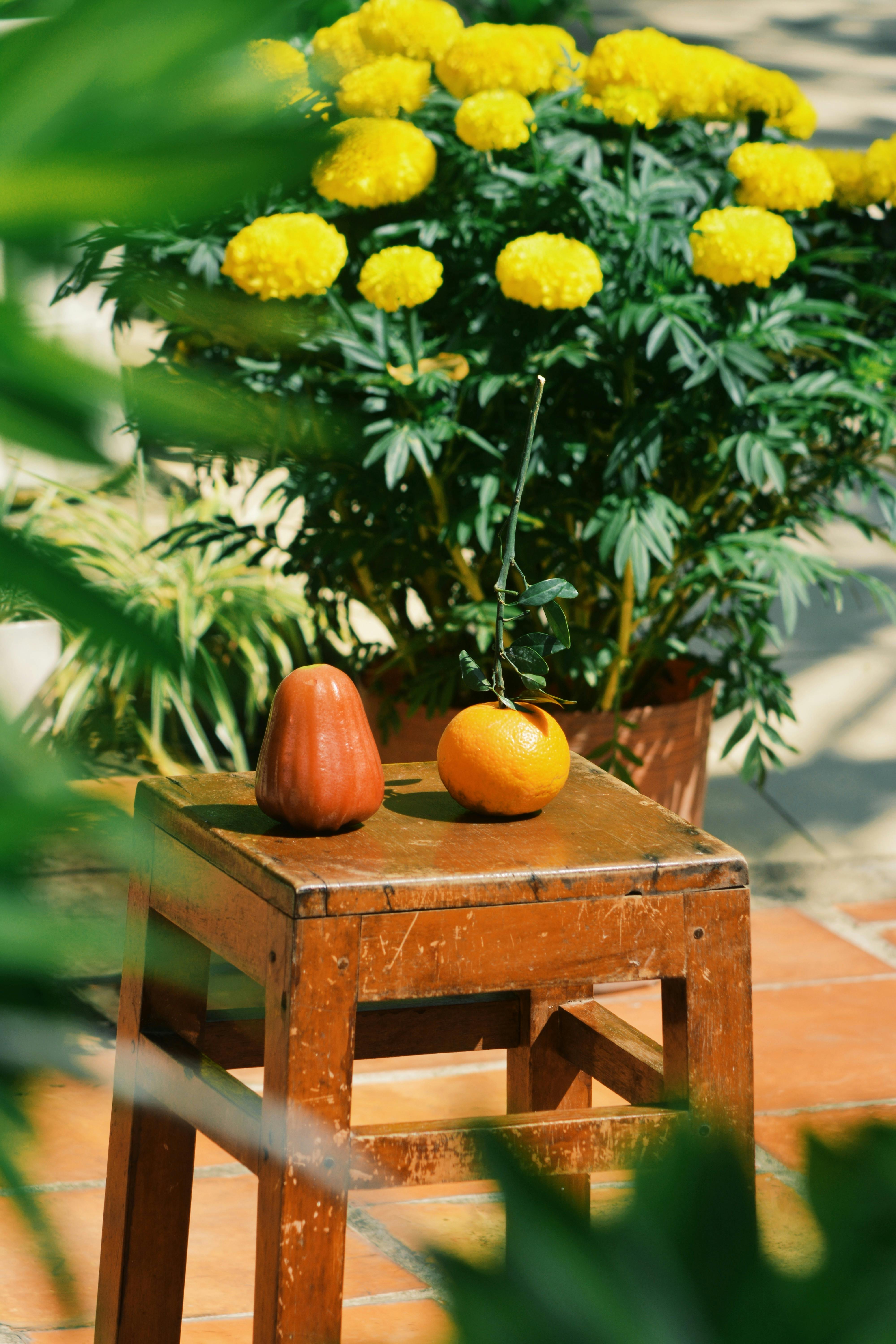 Stool Photos, Download The BEST Free Stool Stock Photos & HD Images
