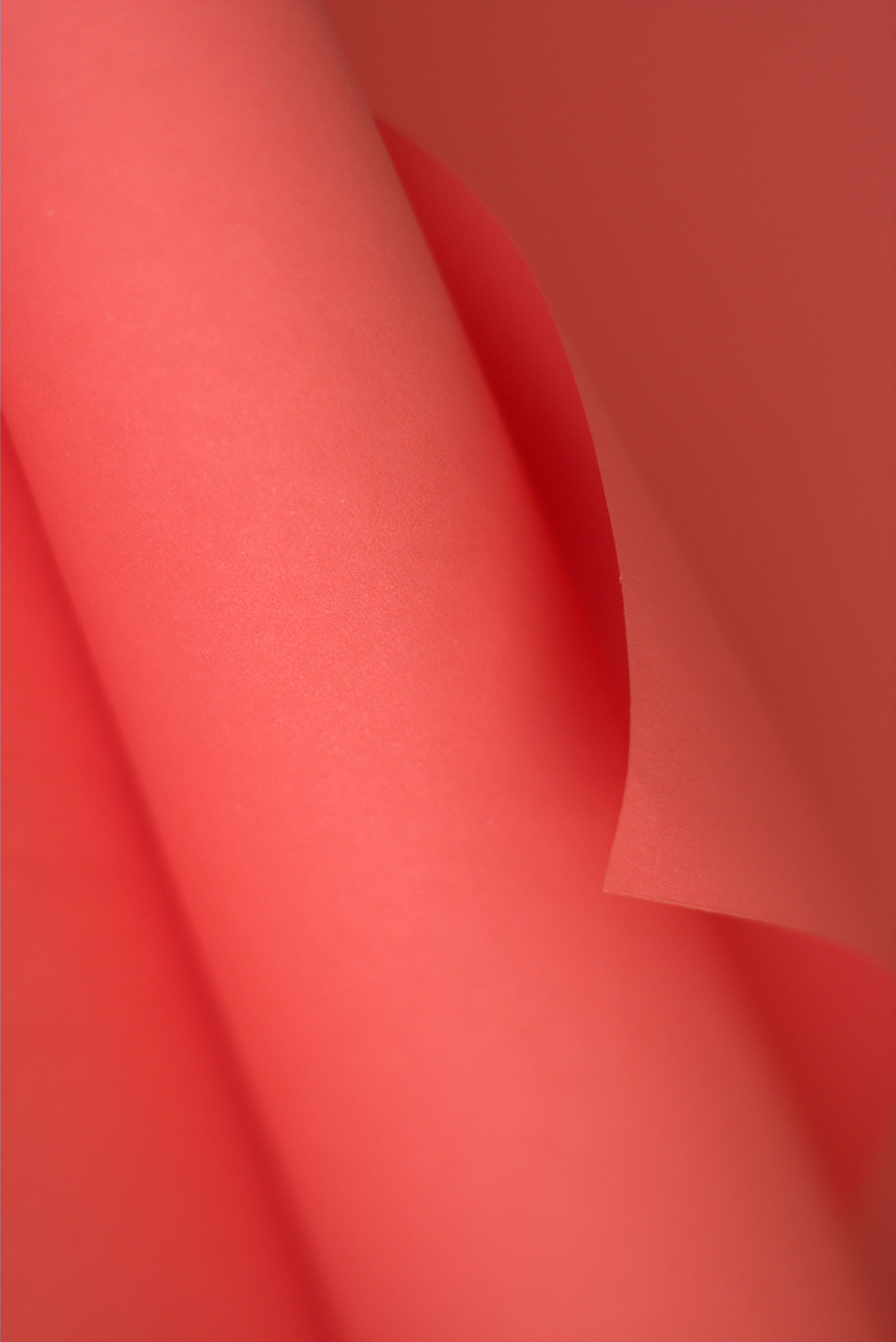Close-up of a Pink Roll of Paper · Free Stock Photo