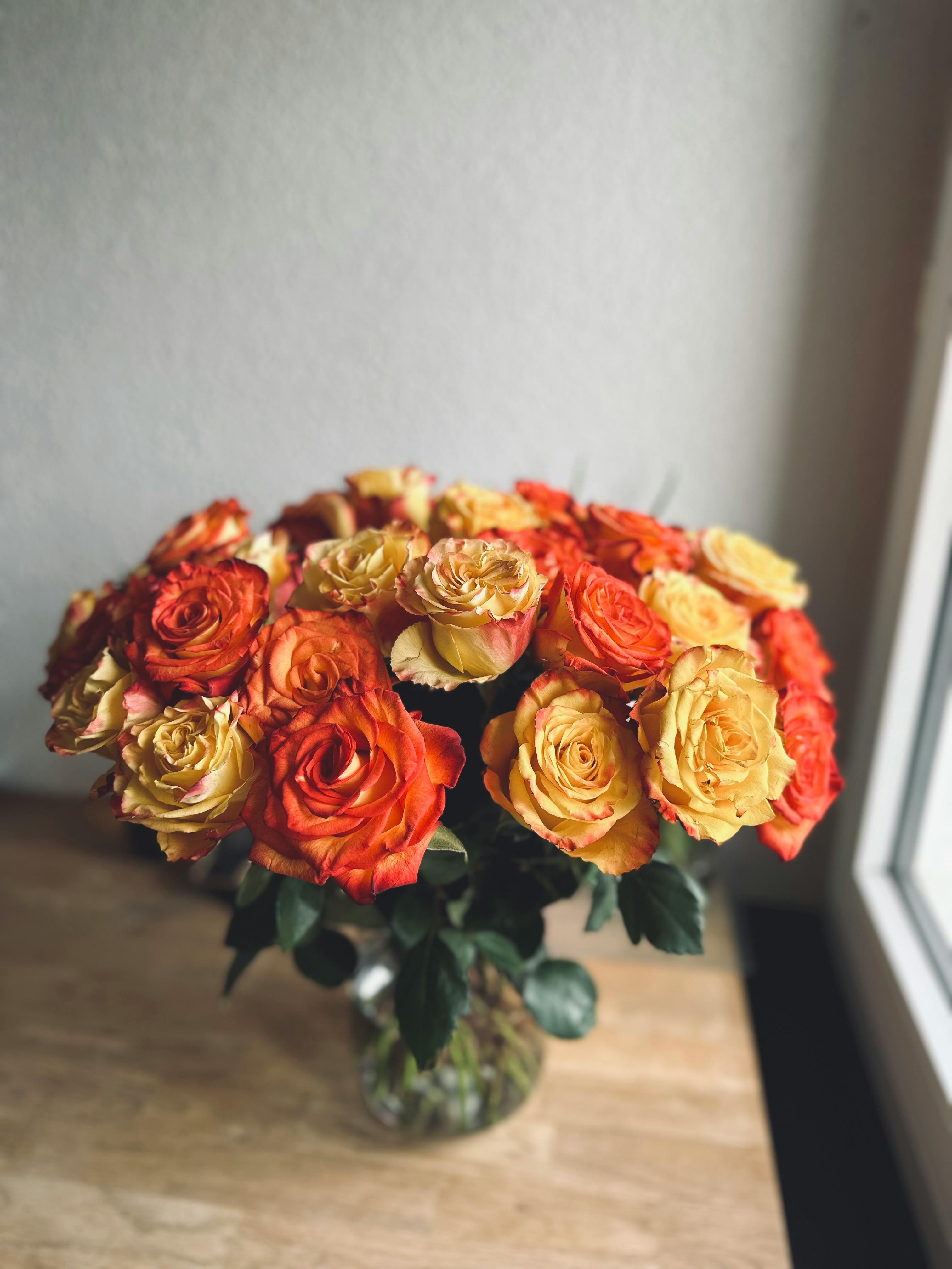 Close-up of a Bouquet of Roses Standing near a Window · Free Stock Photo
