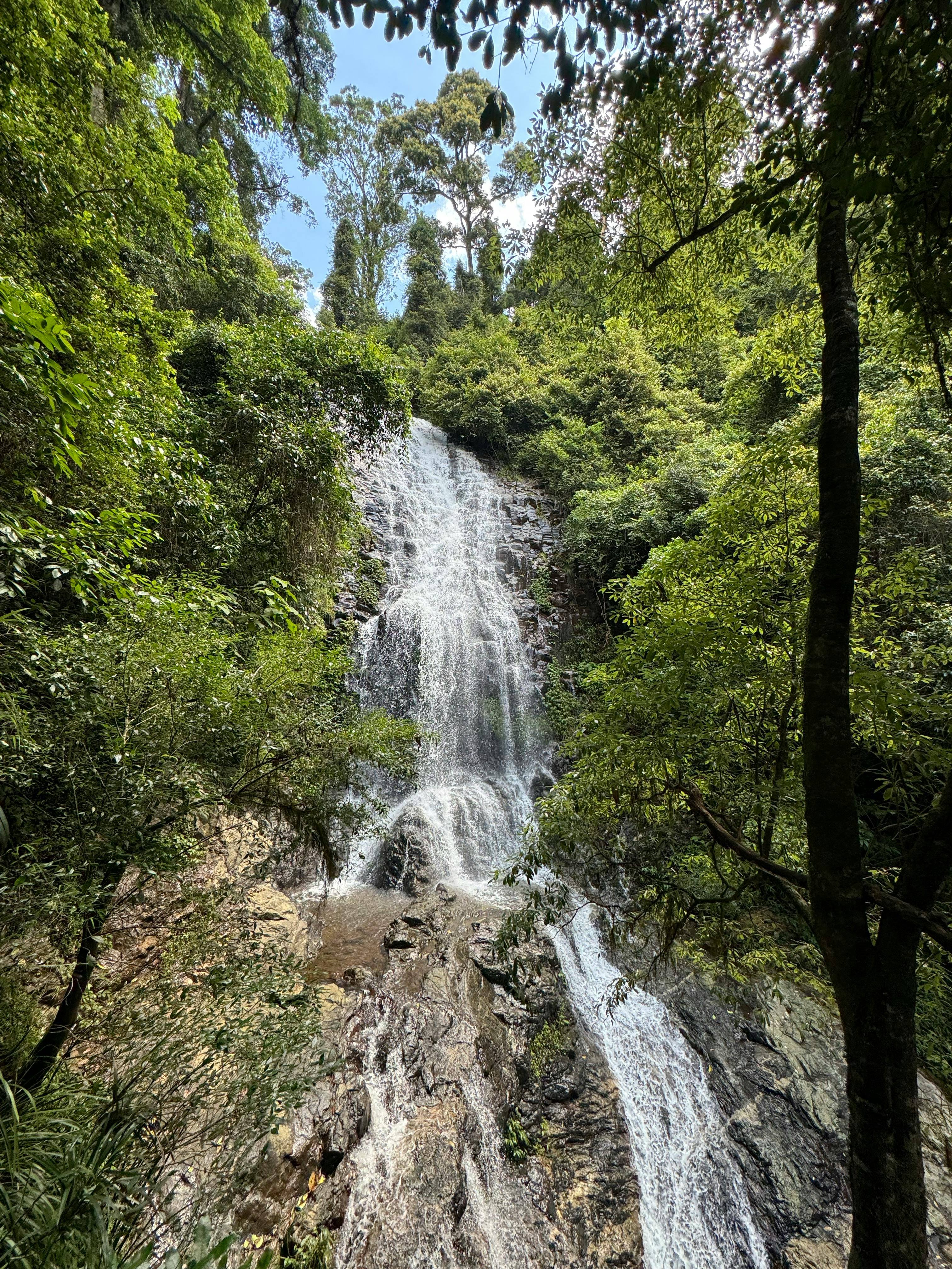 Lotus Waterfall Photos, Download The BEST Free Lotus Waterfall Stock ...