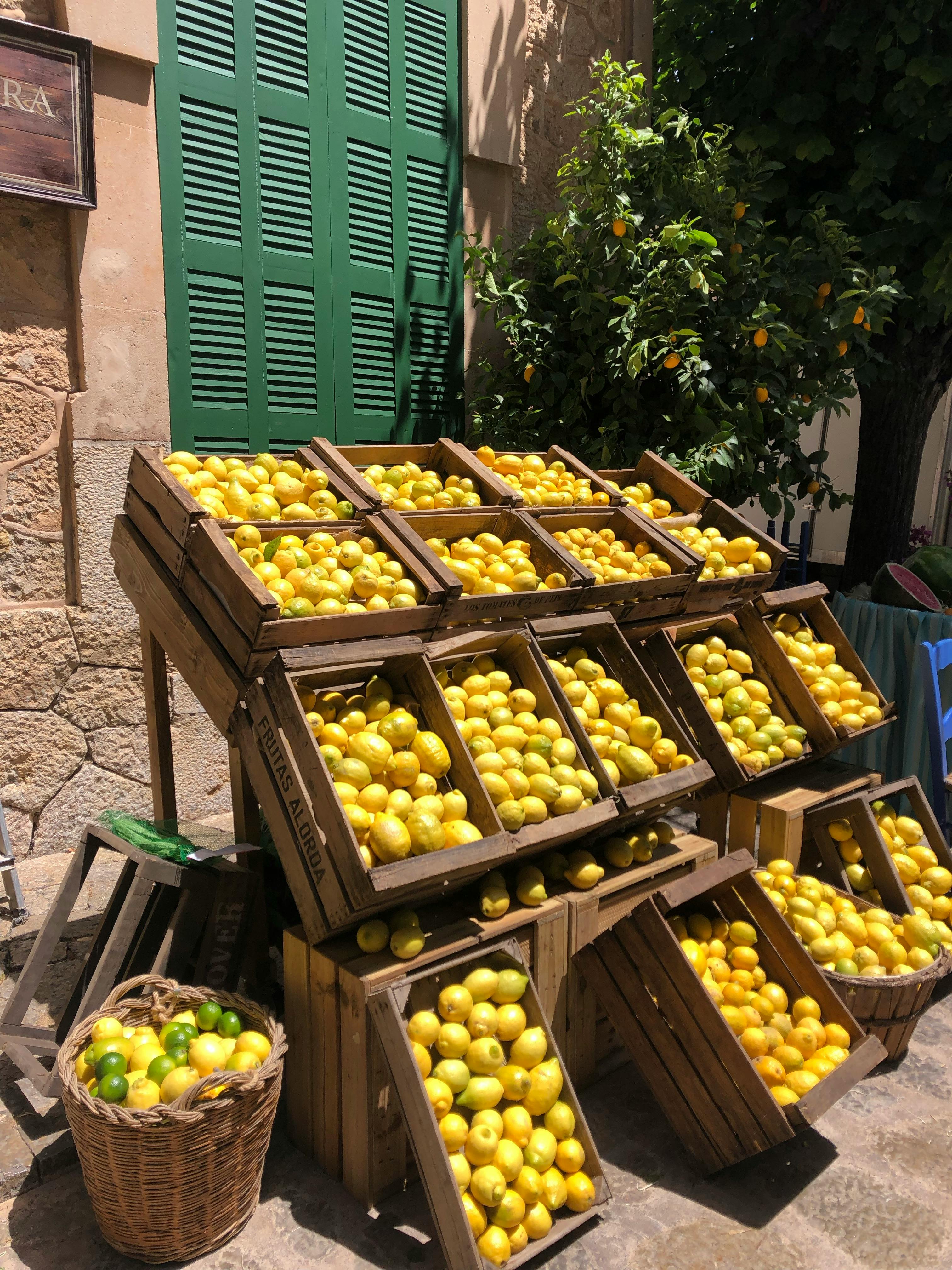 Asli Ozturk - Photography