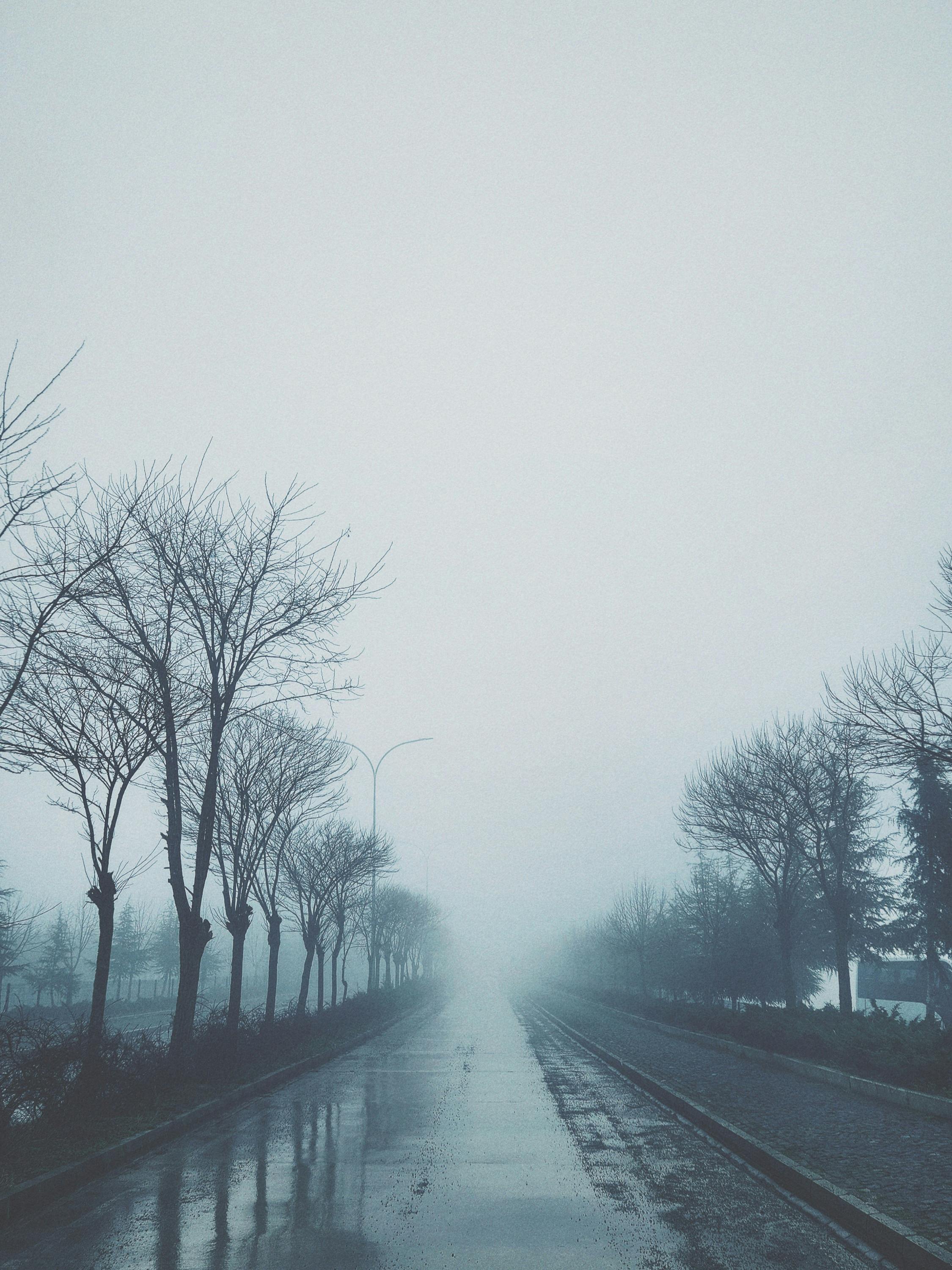 Backpacking Rain Fog Snow Photos, Download The BEST Free Backpacking ...