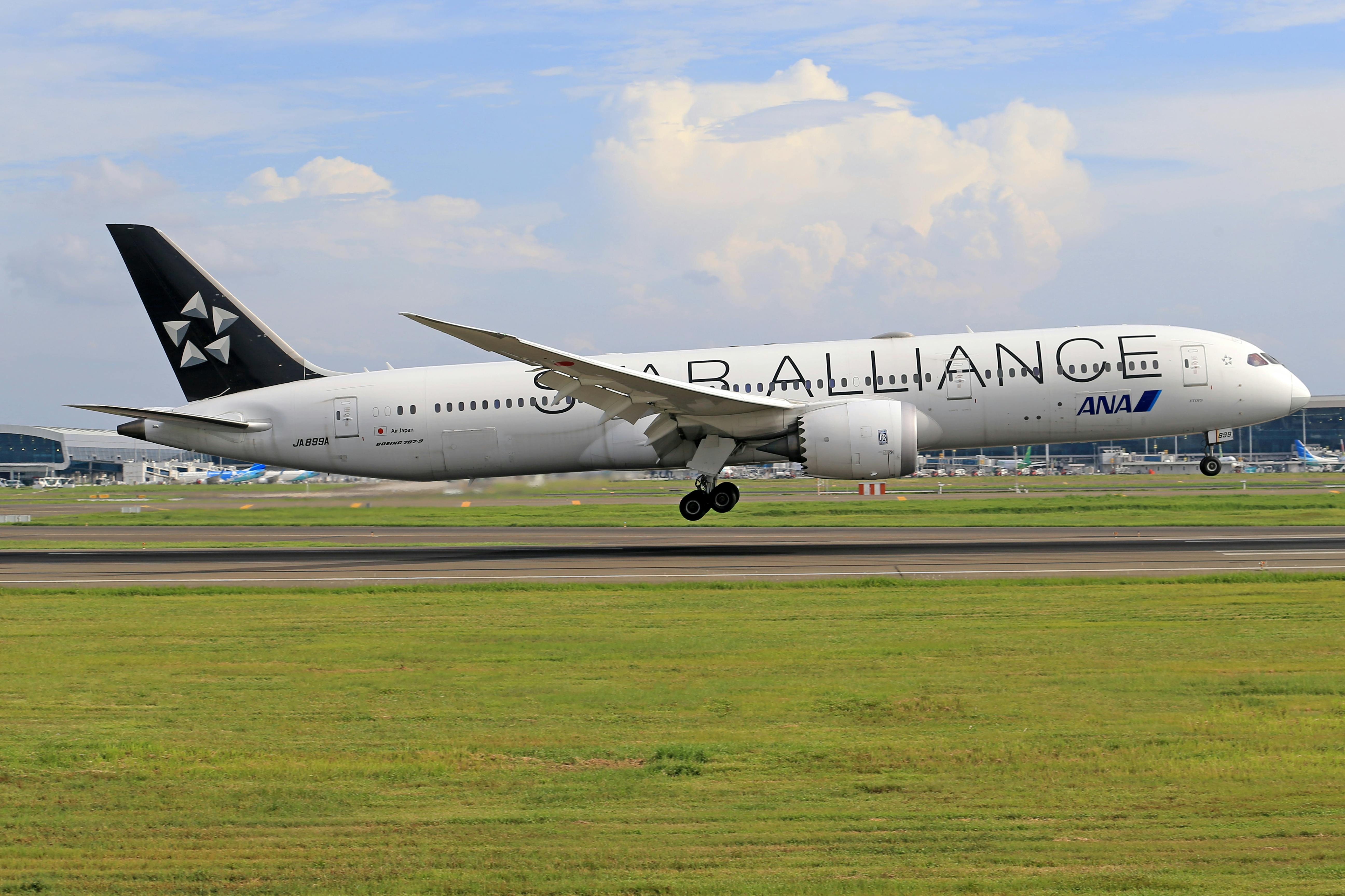 View of a Flying Star Alliance Airliner · Free Stock Photo