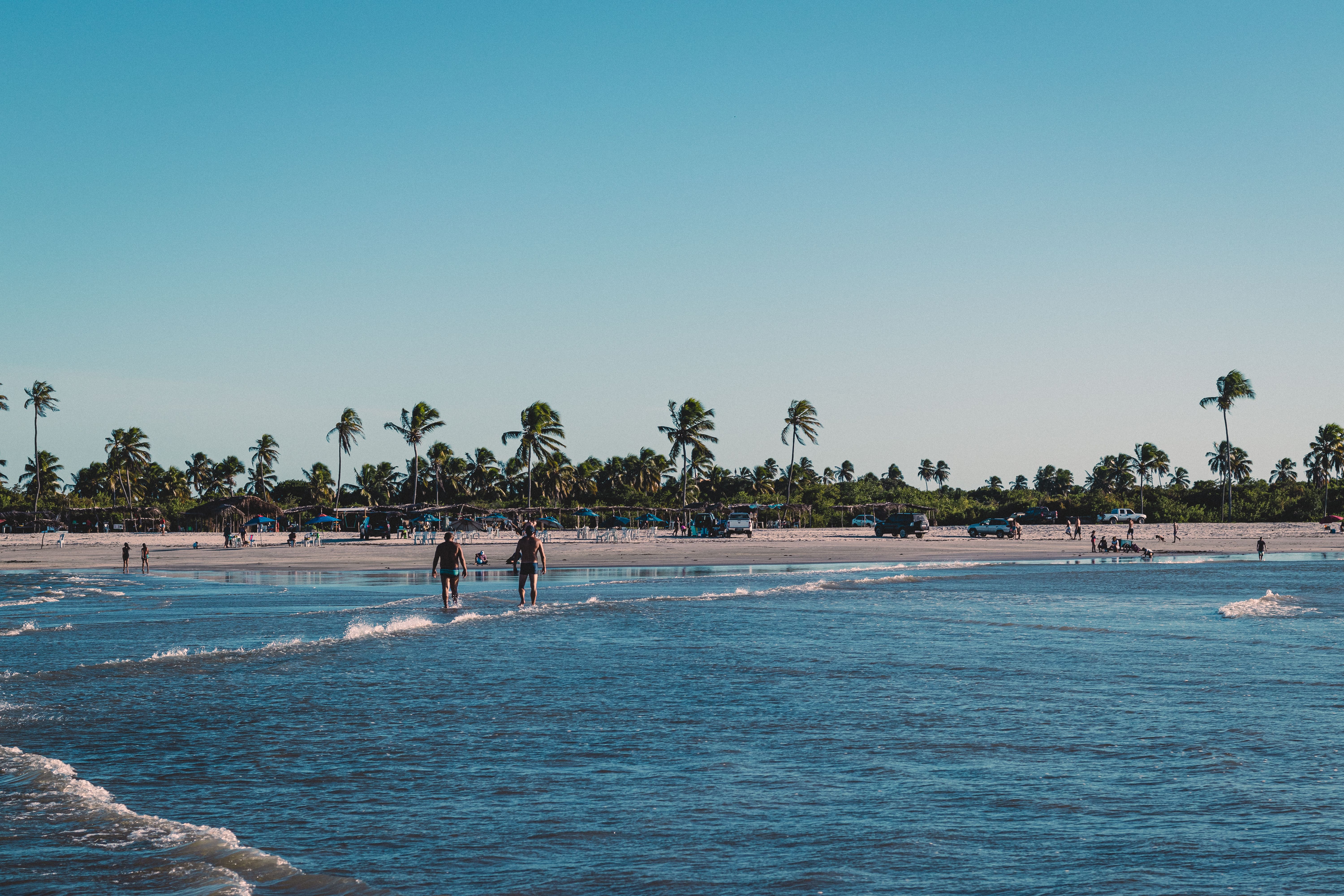 Foto profissional gratuita de à beira mar, à beira mar, água, américa ...