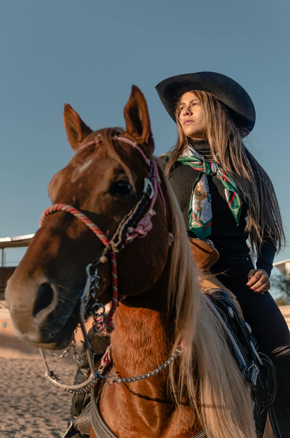 Horseback Riding Photos, Download The BEST Free Horseback Riding Stock ...