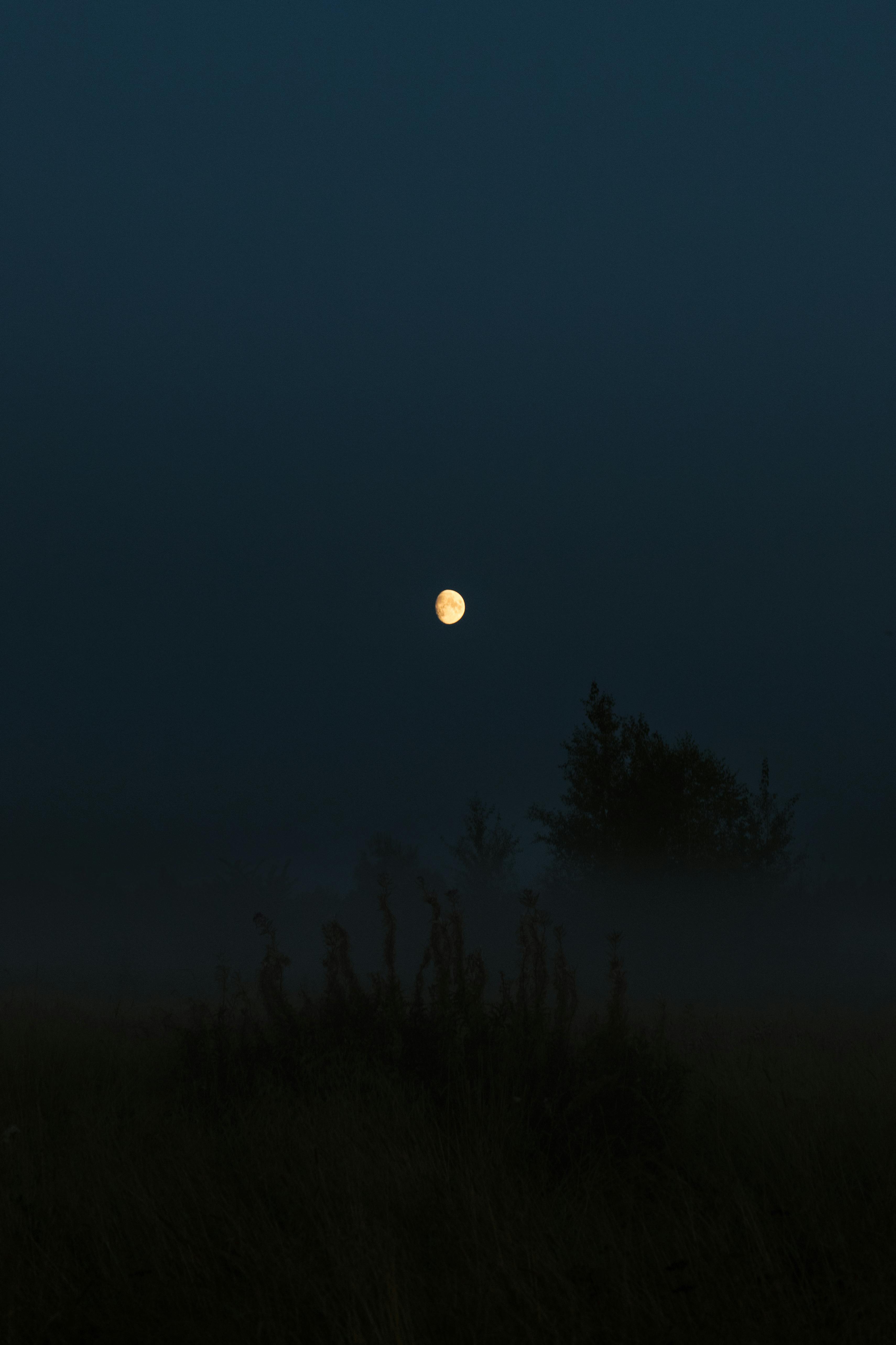 Minimal Night Landscape Photos, Download The BEST Free Minimal Night ...