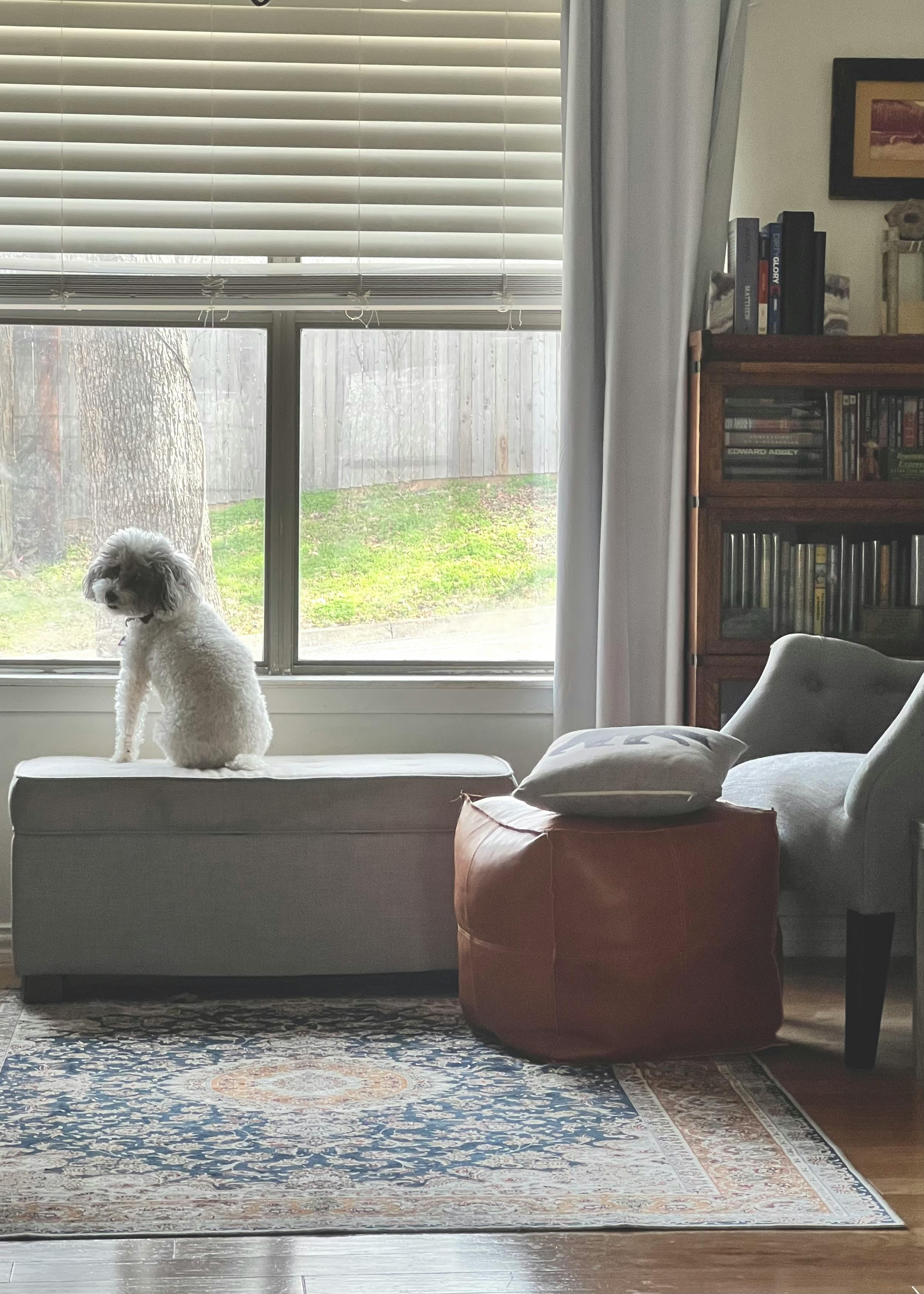 Lesli Whitecotton - Photography