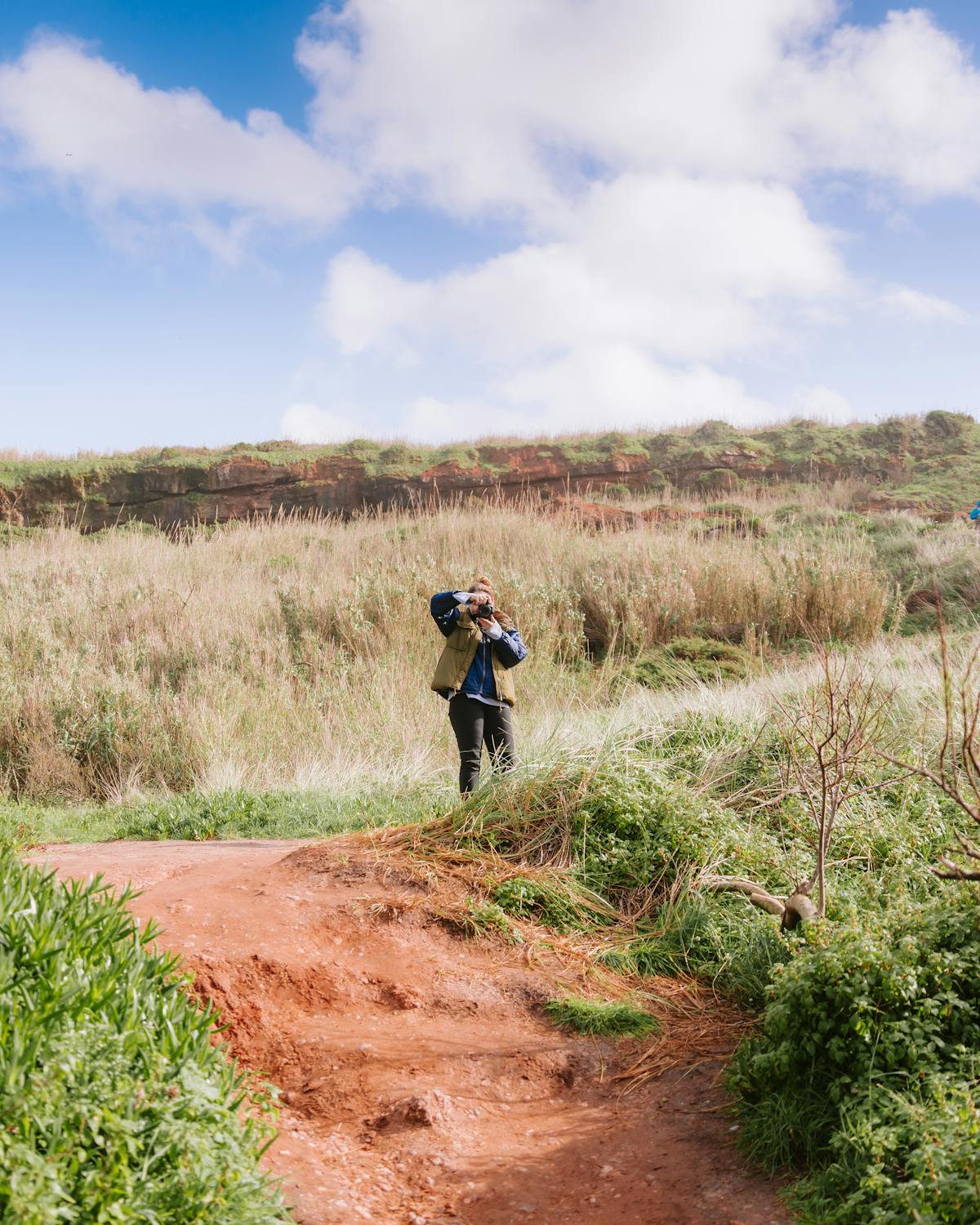 Environment Pictures Photos, Download The BEST Free Environment ...