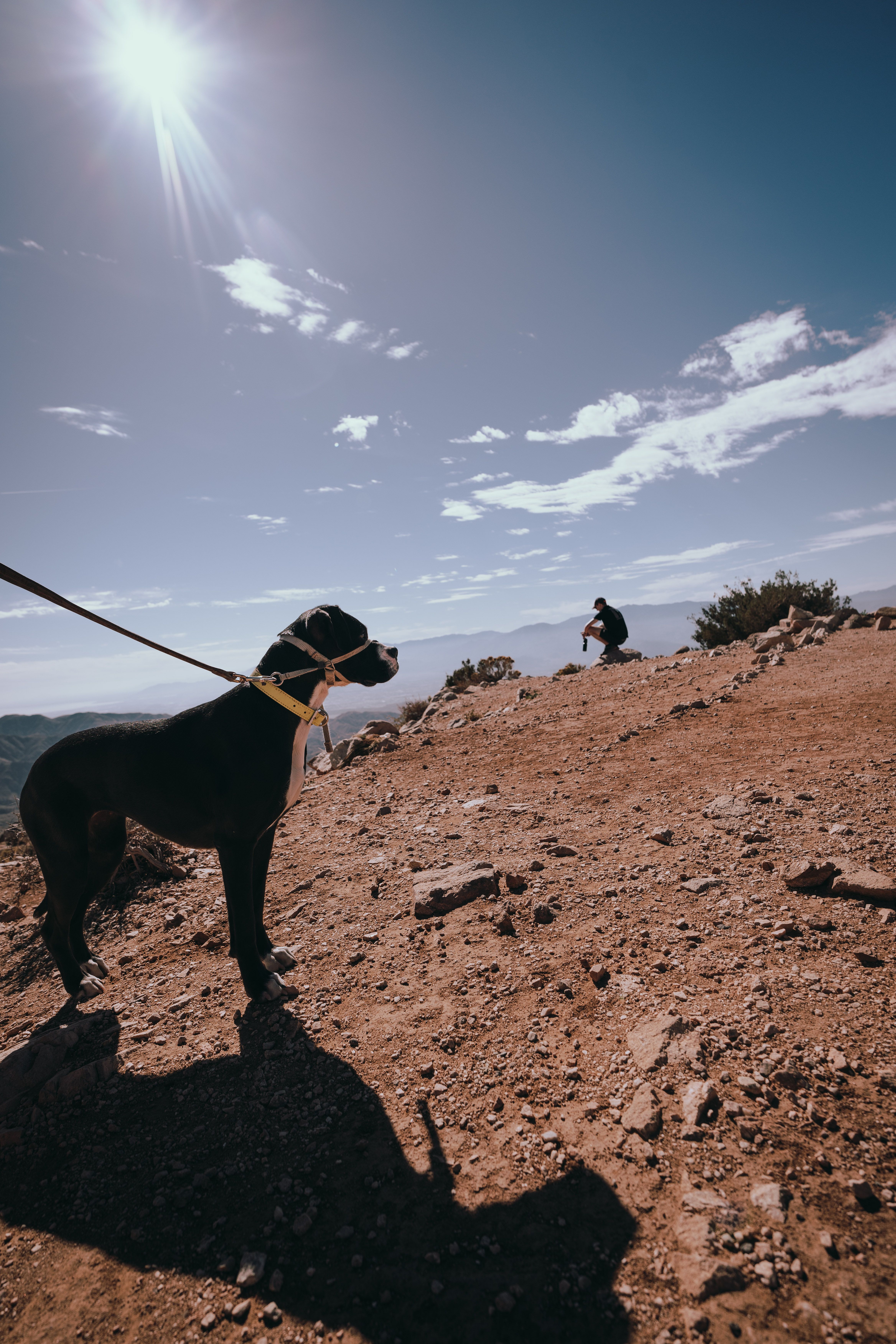 Dog and Man Squatting on Arid Hill · Free Stock Photo
