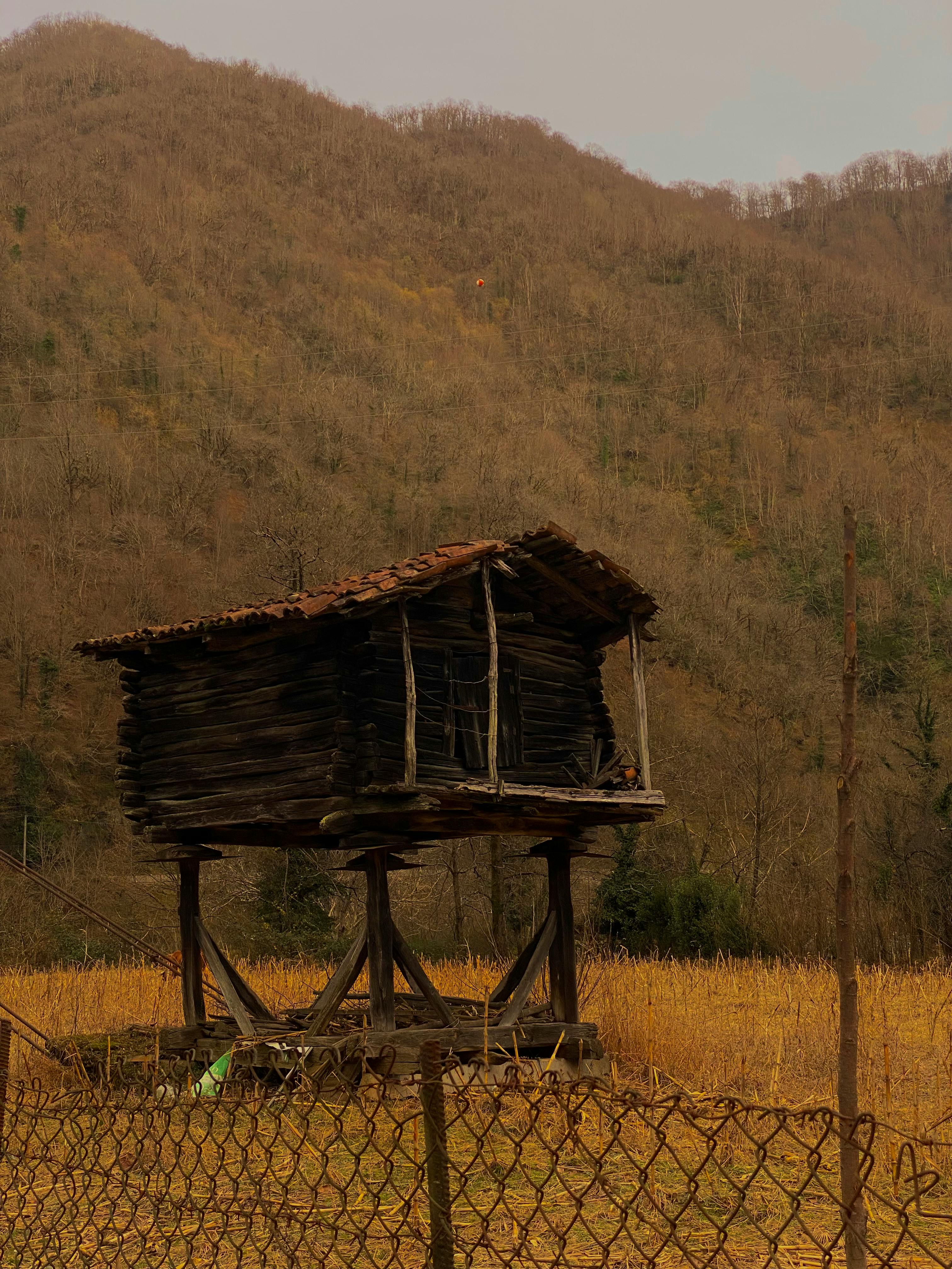 Stilt Cottage House in Countryside · Free Stock Photo