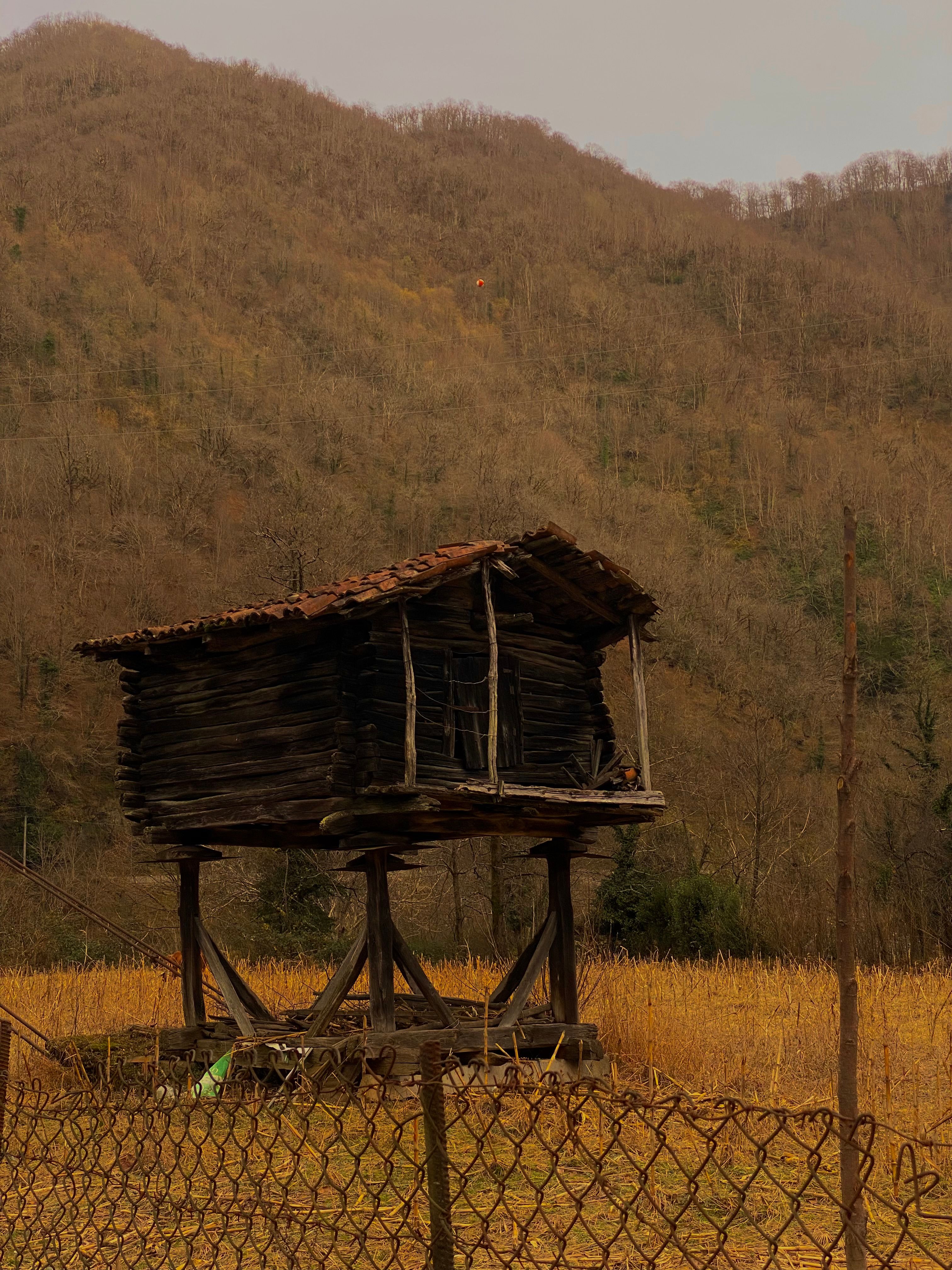Stilt Cottage House in Countryside · Free Stock Photo