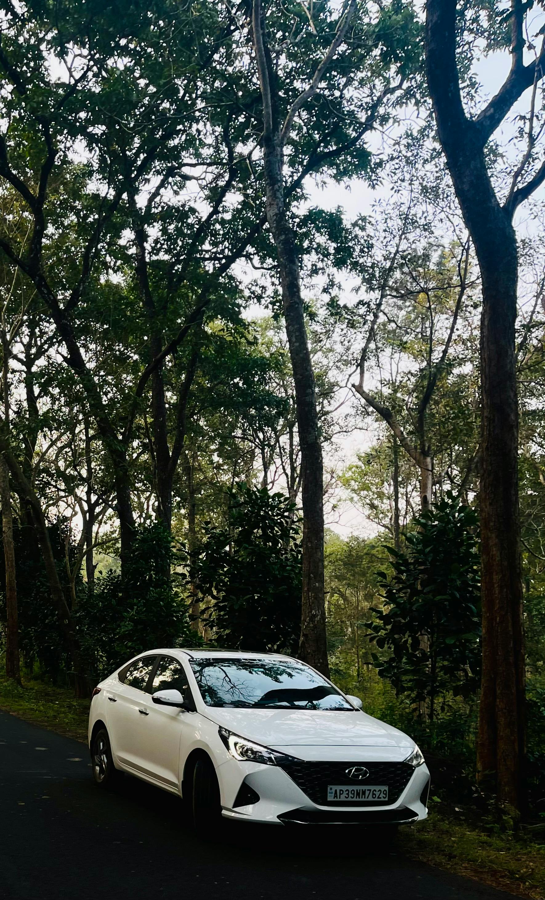 White Hyundai Verna on Road in Forest · Free Stock Photo
