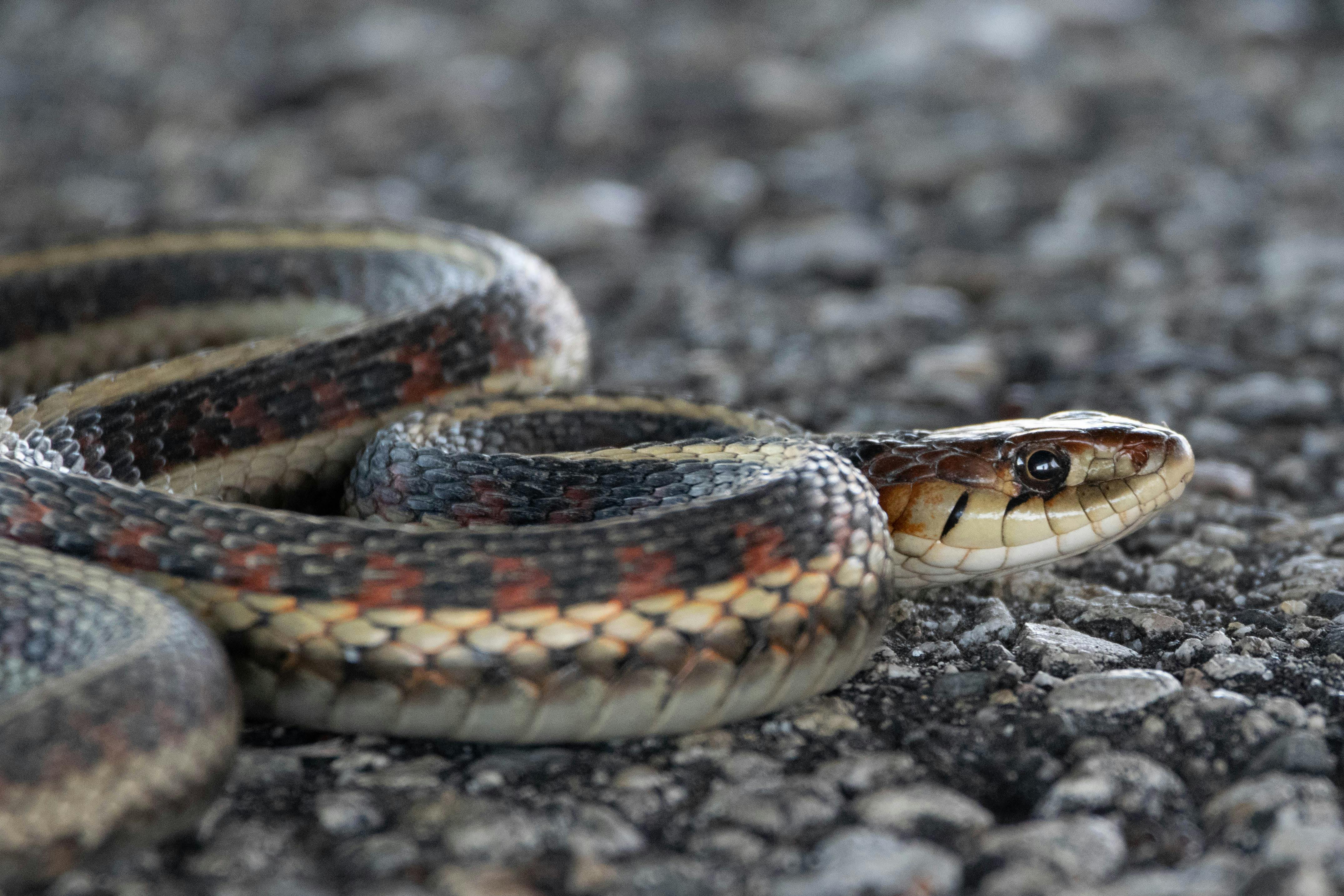 Kevin Bidwell · Photography