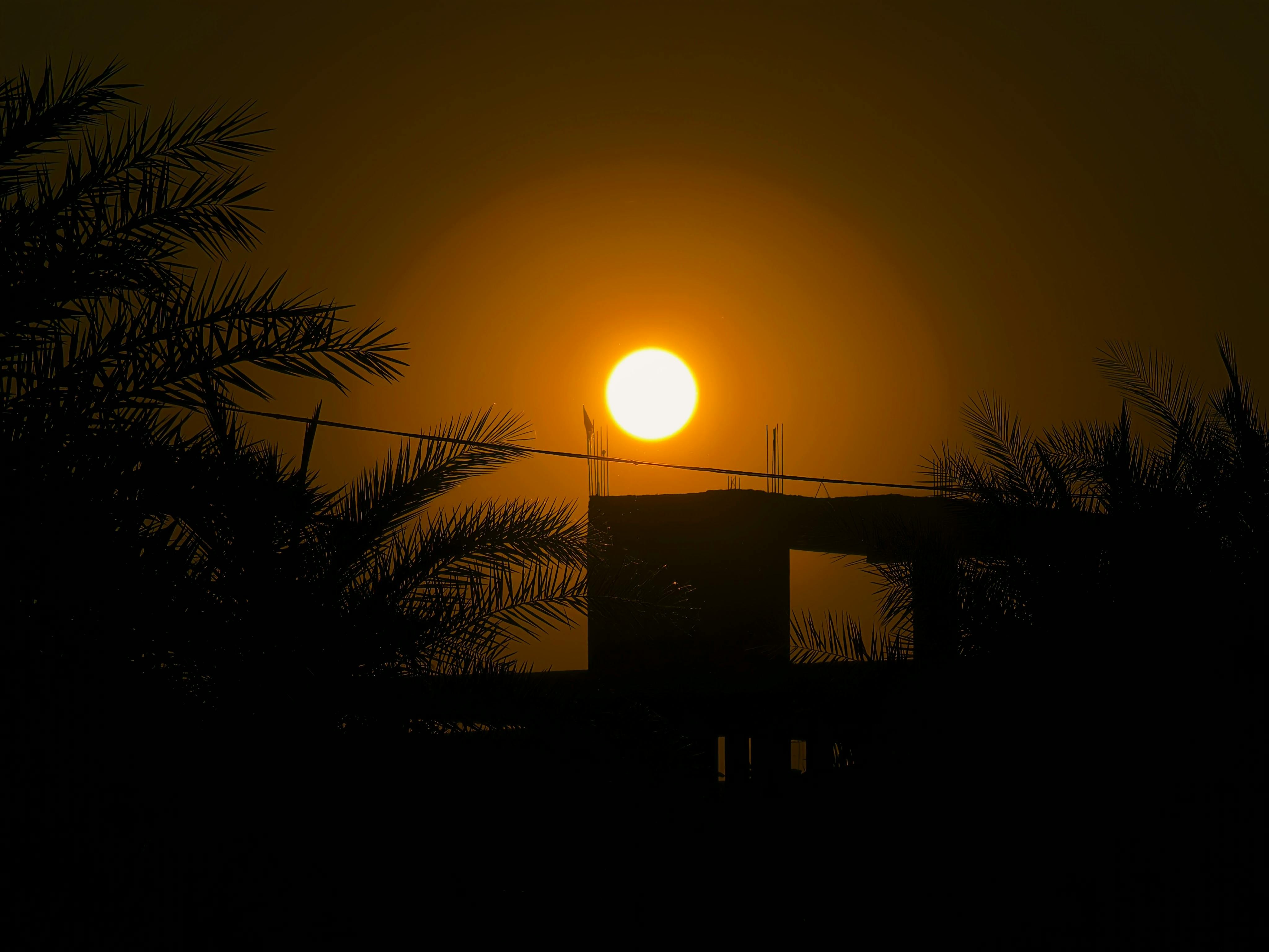 Garuda - Photography