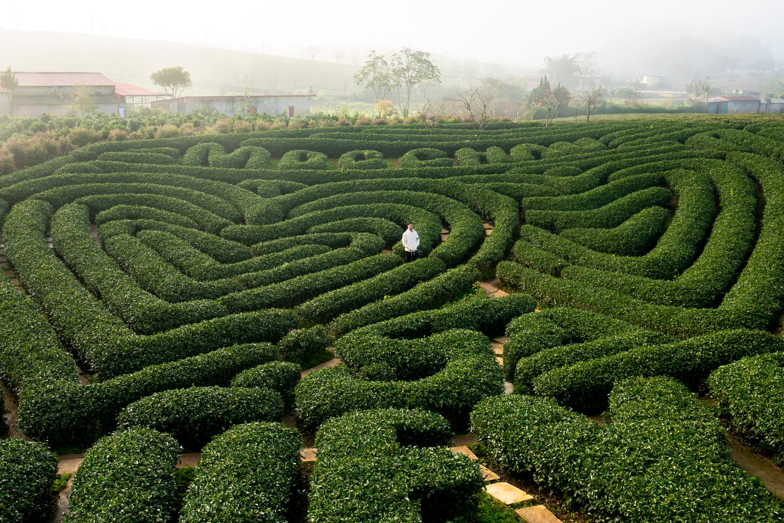 Maze Background Photos Download The Best Free Maze Background Stock