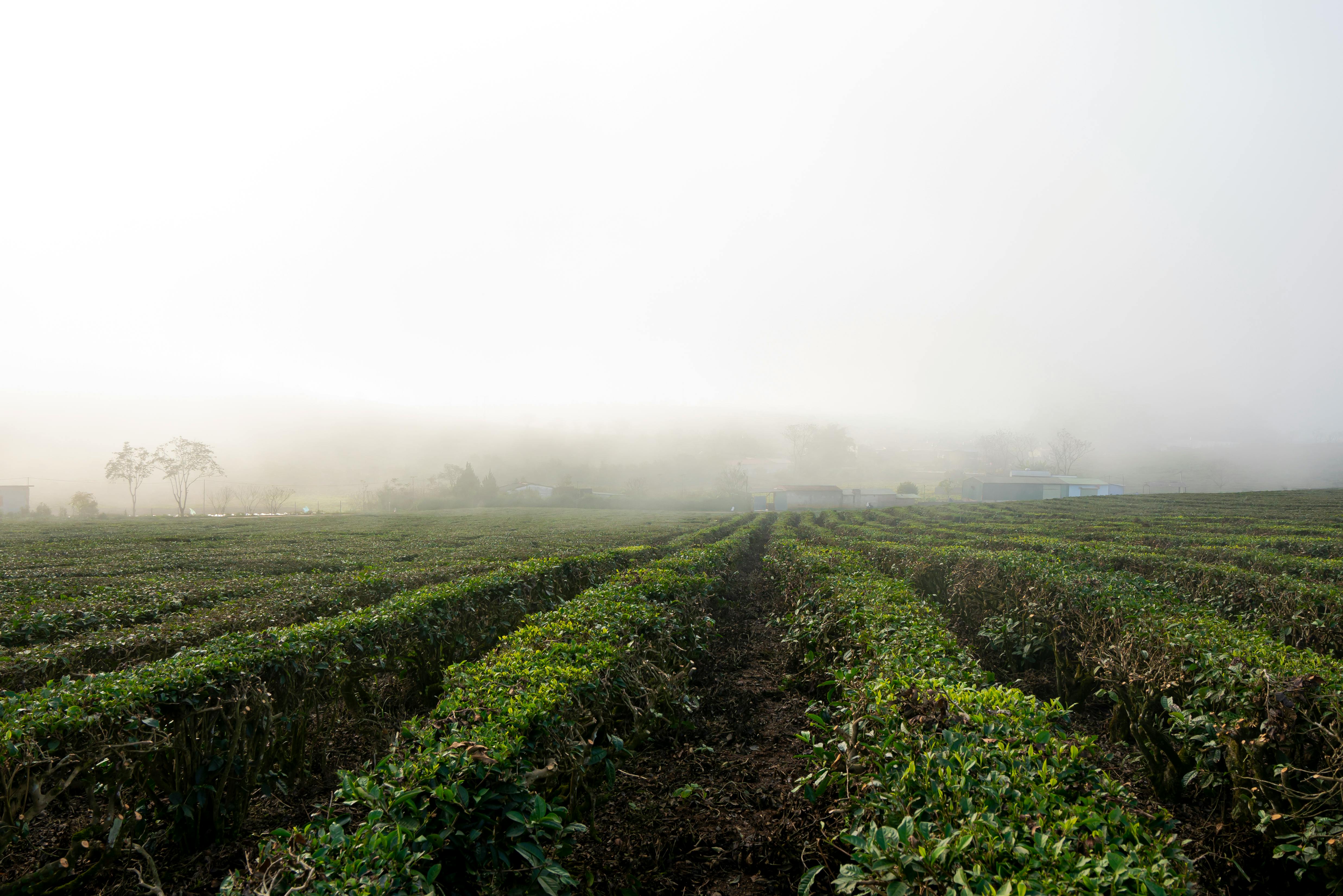 Aerial Photography of Open Field · Free Stock Photo