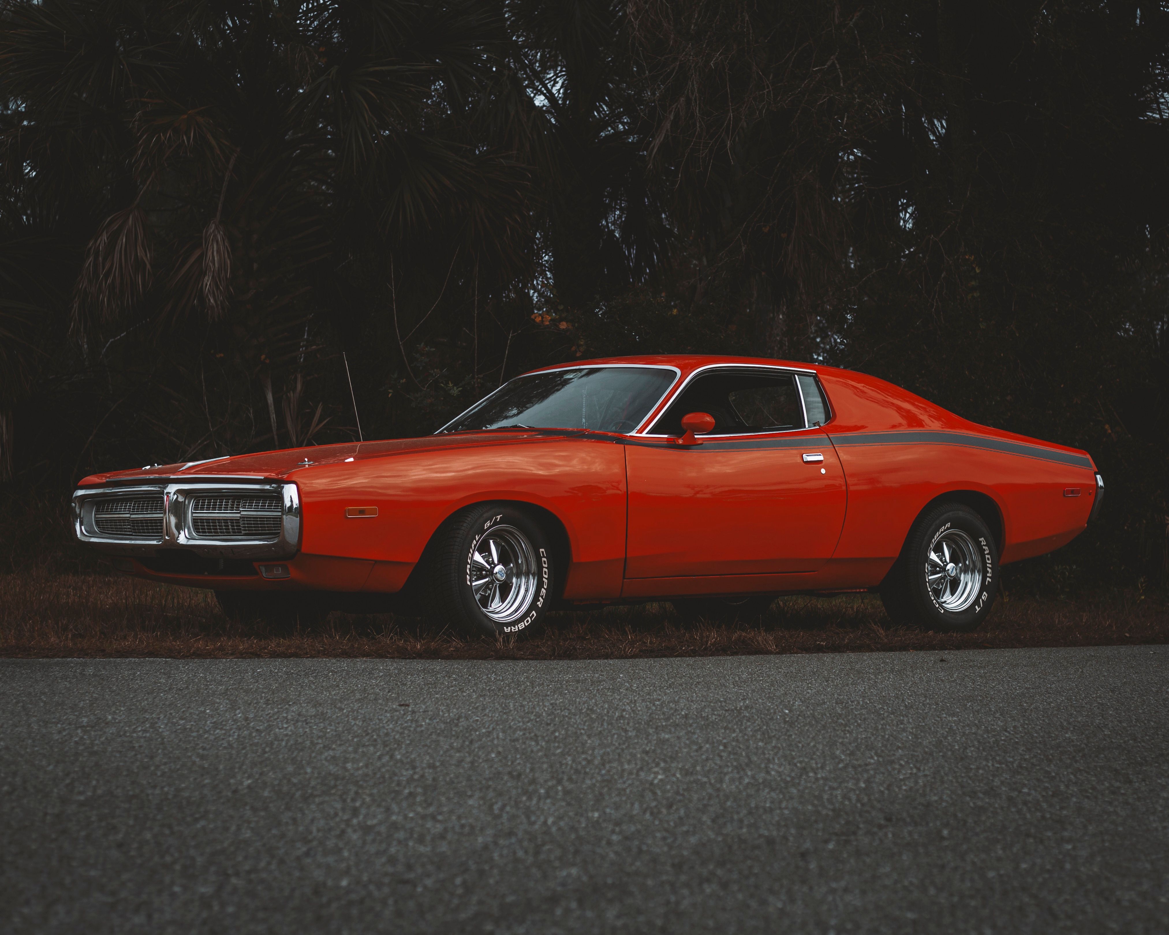 Green Chevrolet Camaro Parked Near Green Tree · Free Stock Photo