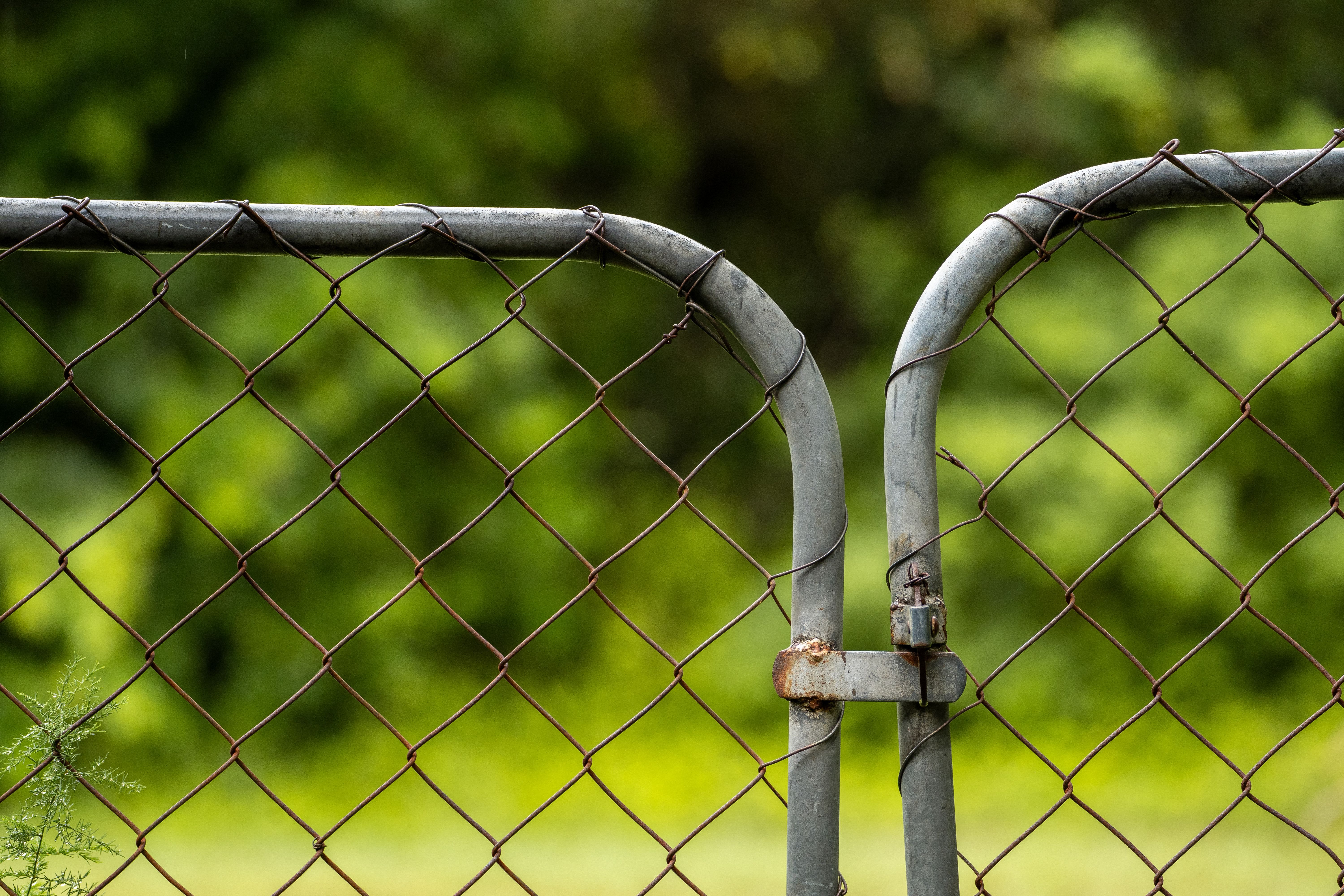 Gate Latch in a Chain-link Fence · Free Stock Photo