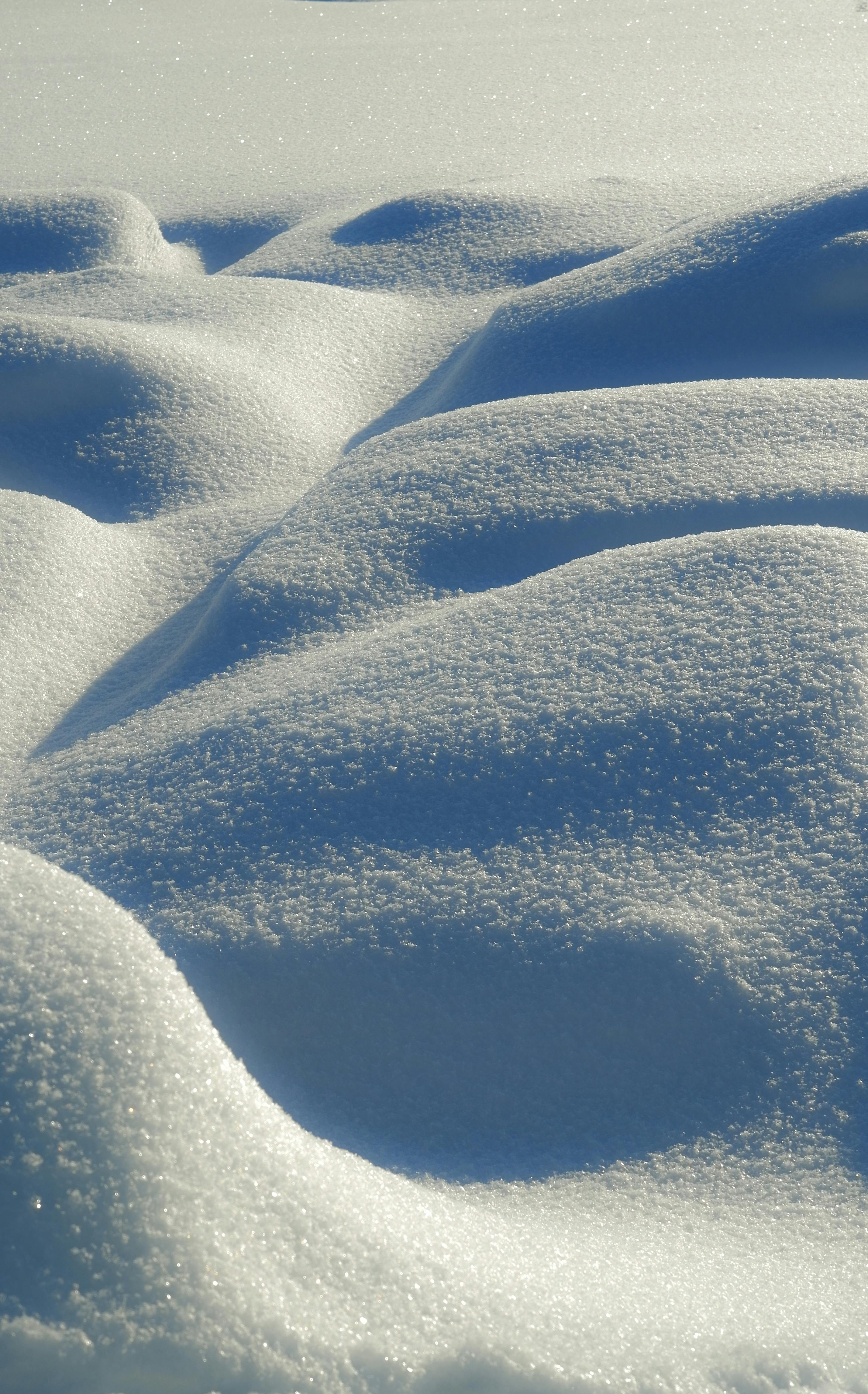 White Snow on Ground · Free Stock Photo