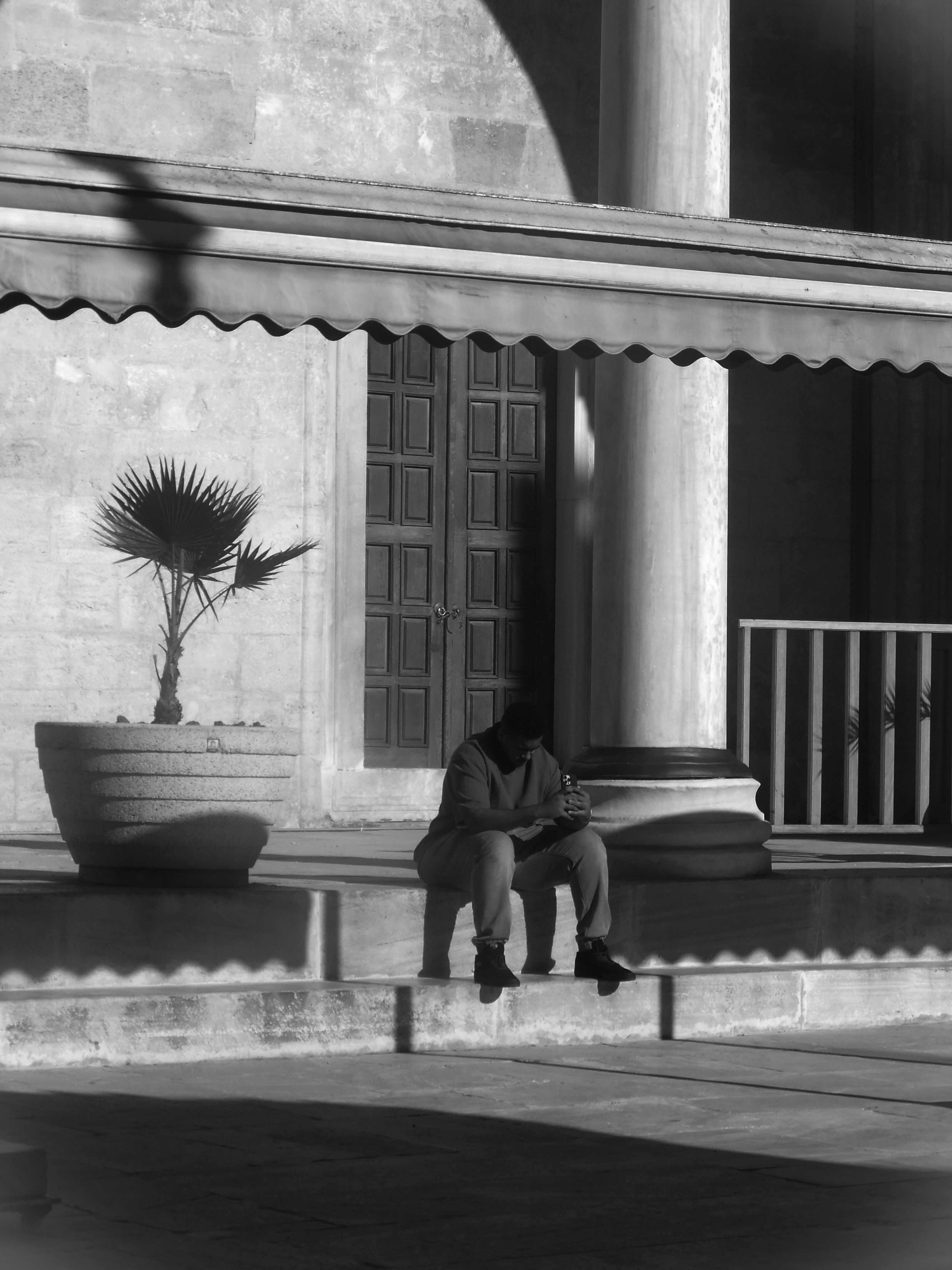 Man Sitting on Wall between Column and Tree · Free Stock Photo