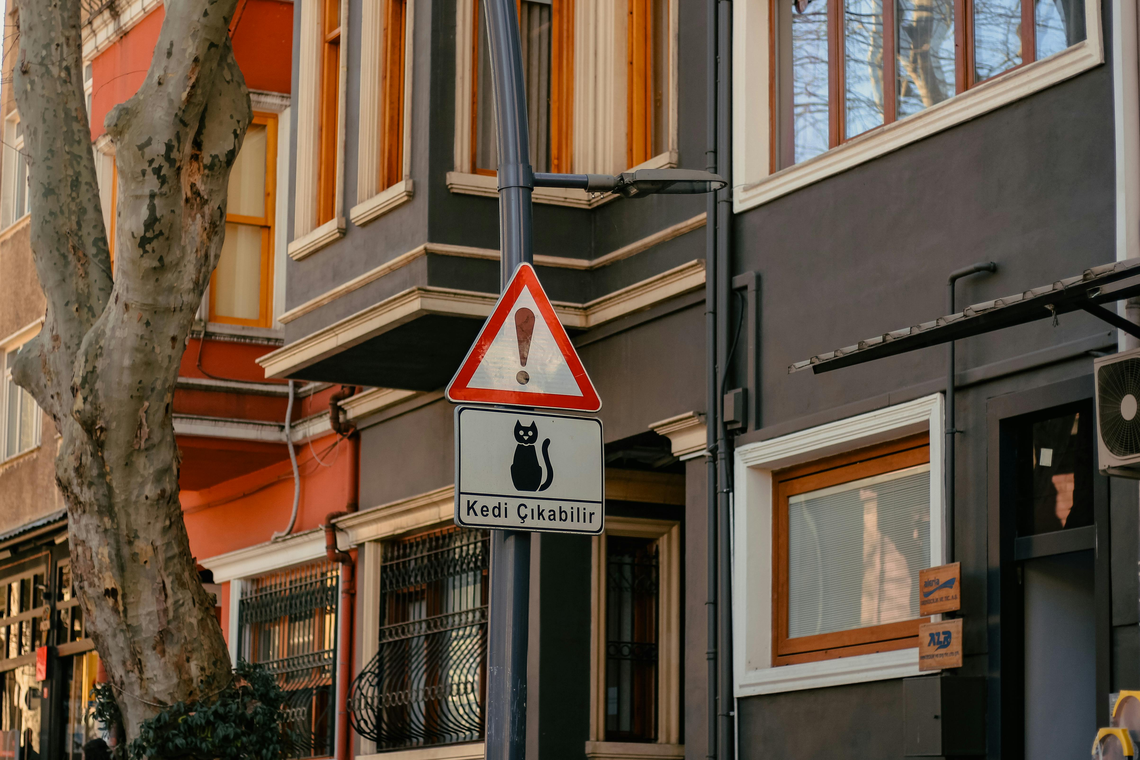 Leila Abboud - Photography