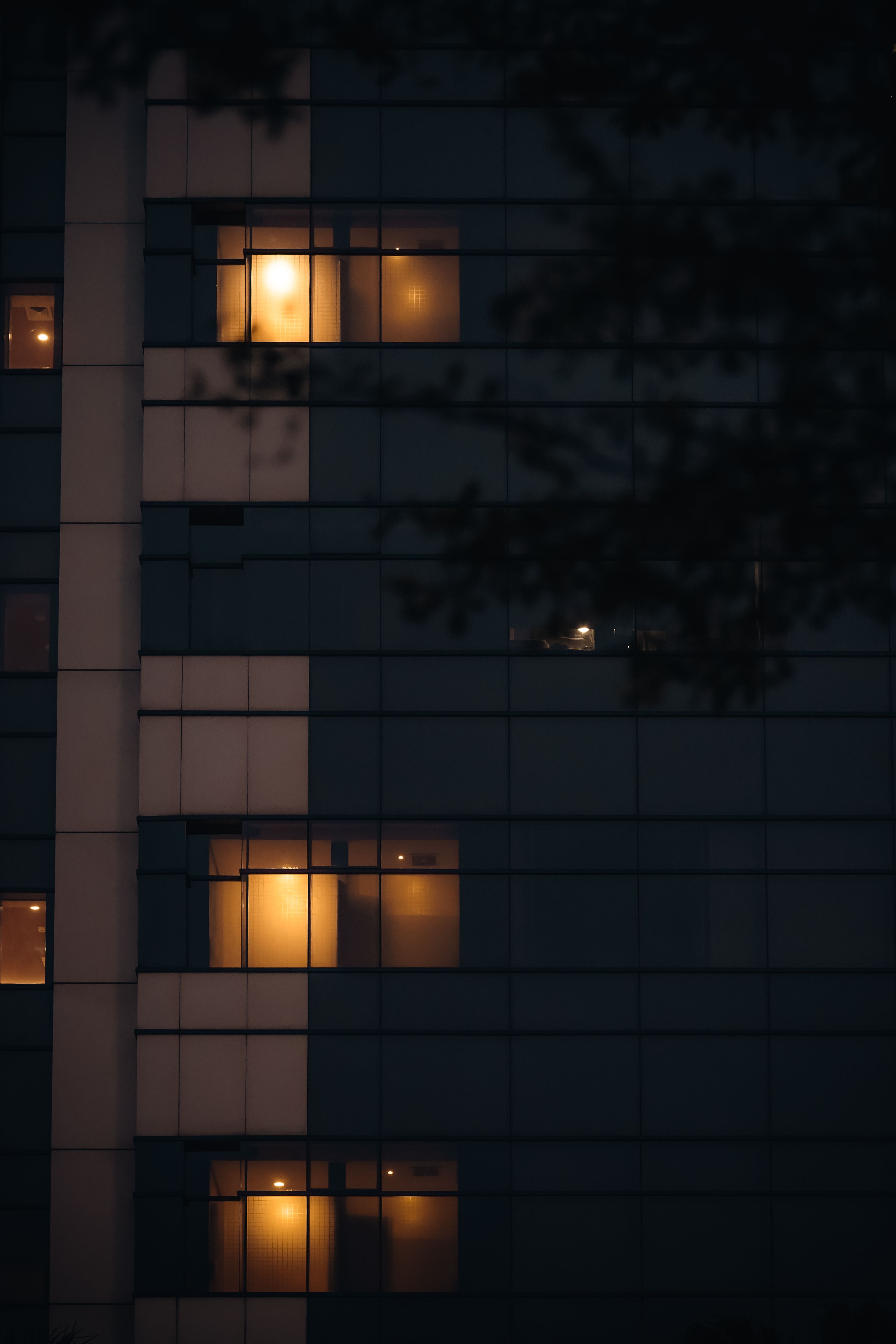Illuminating Windows of Apartment at Night · Free Stock Photo