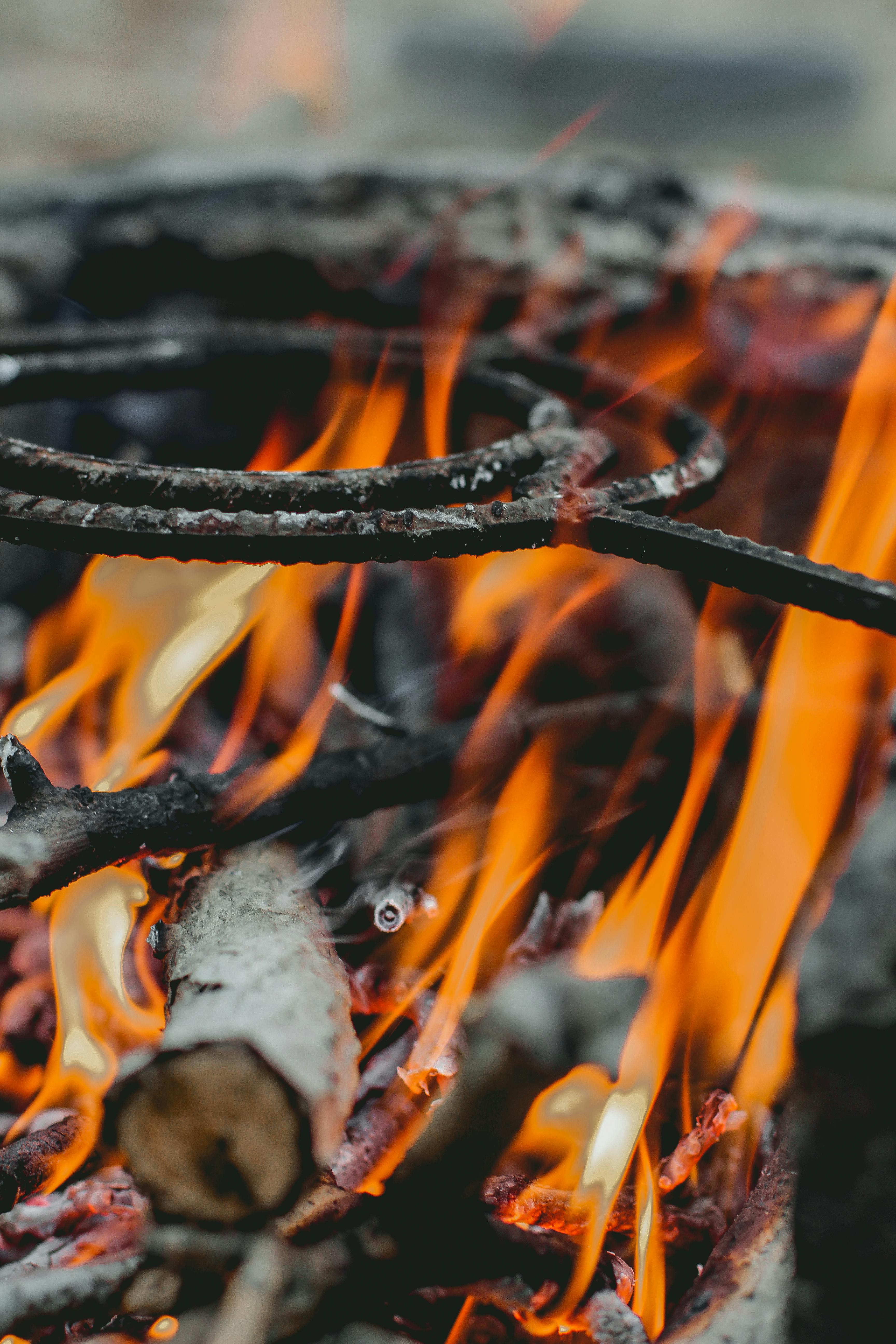 Focus Photography of a Ignited Firewood · Free Stock Photo