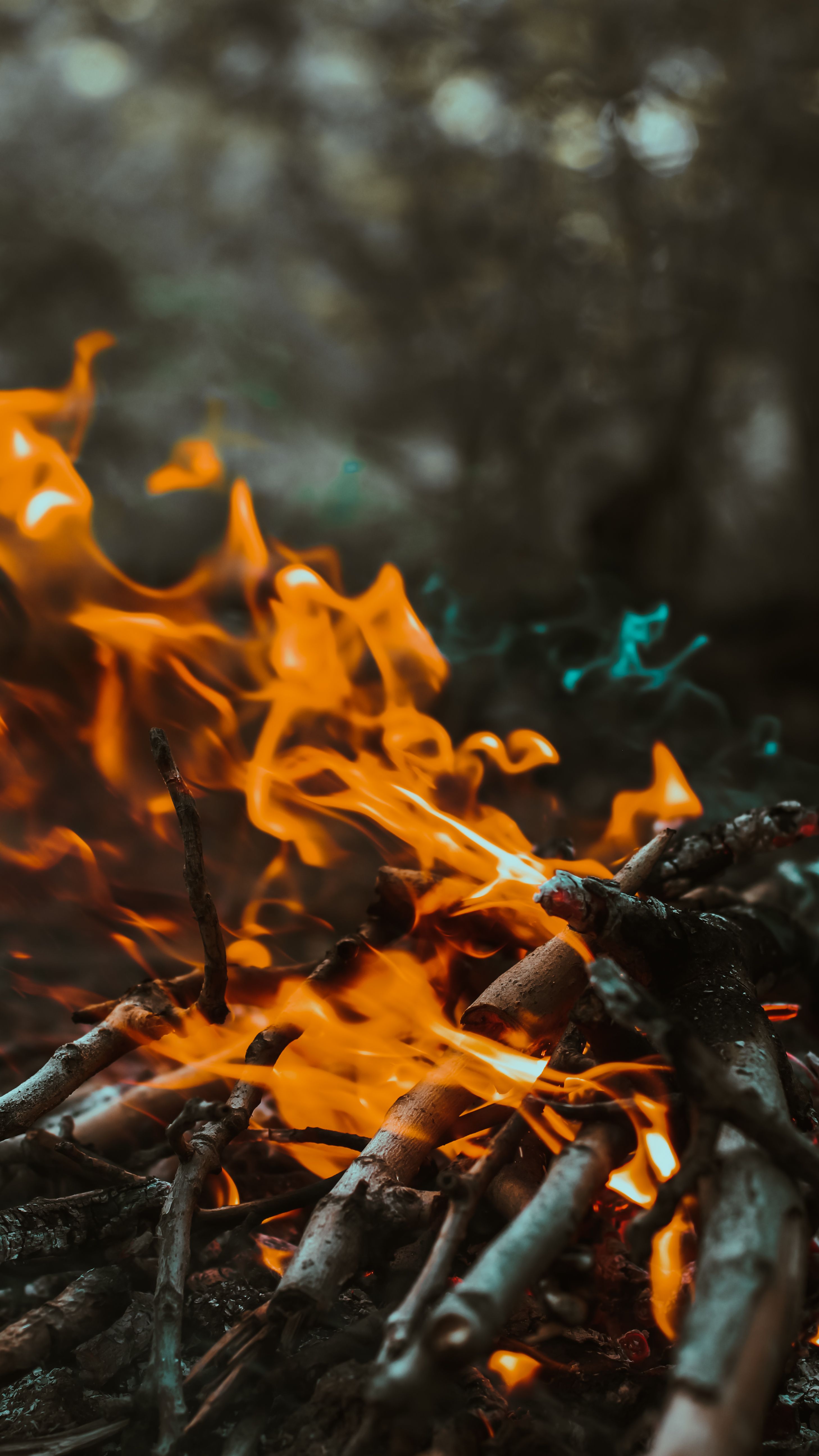 Iran Bbq Photos, Download The BEST Free Iran Bbq Stock Photos & HD Images