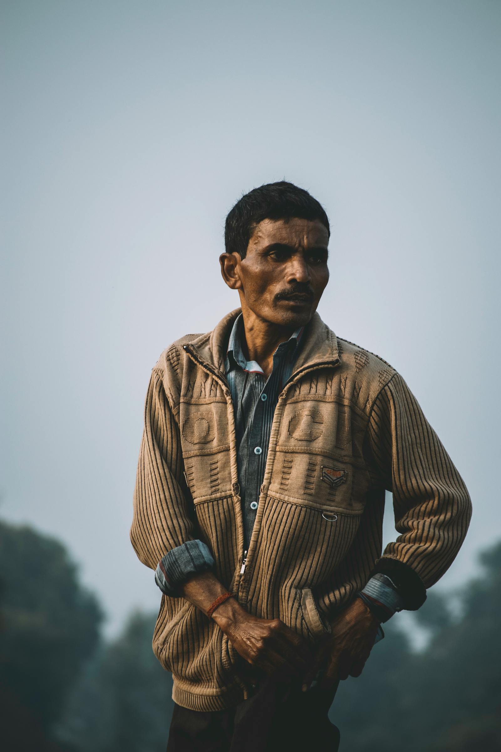 Frog Standing Up Photos, Download The BEST Free Frog Standing Up Stock ...