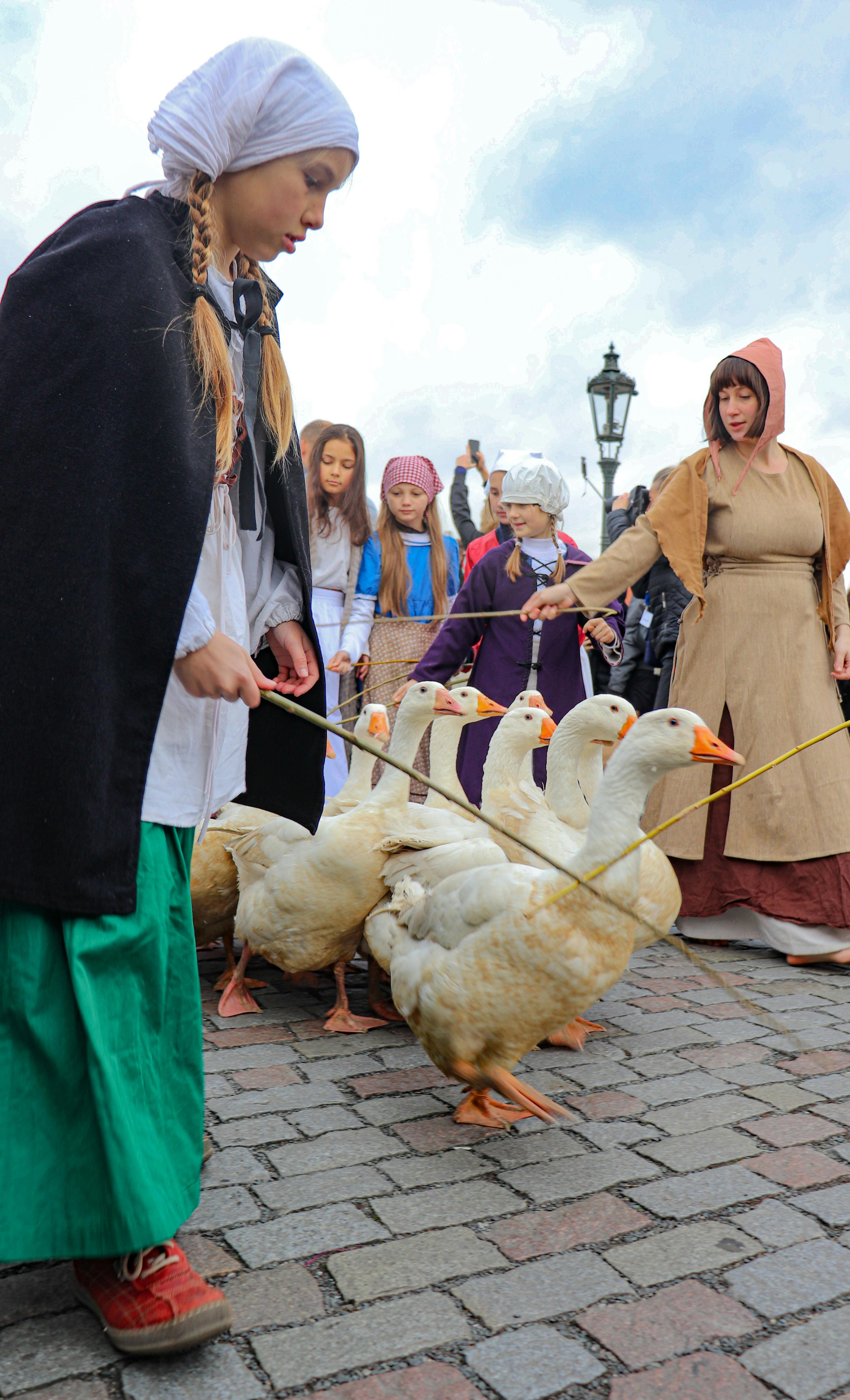 Women and Girls in Costumes Walking with a Gaggle of Geese · Free Stock ...