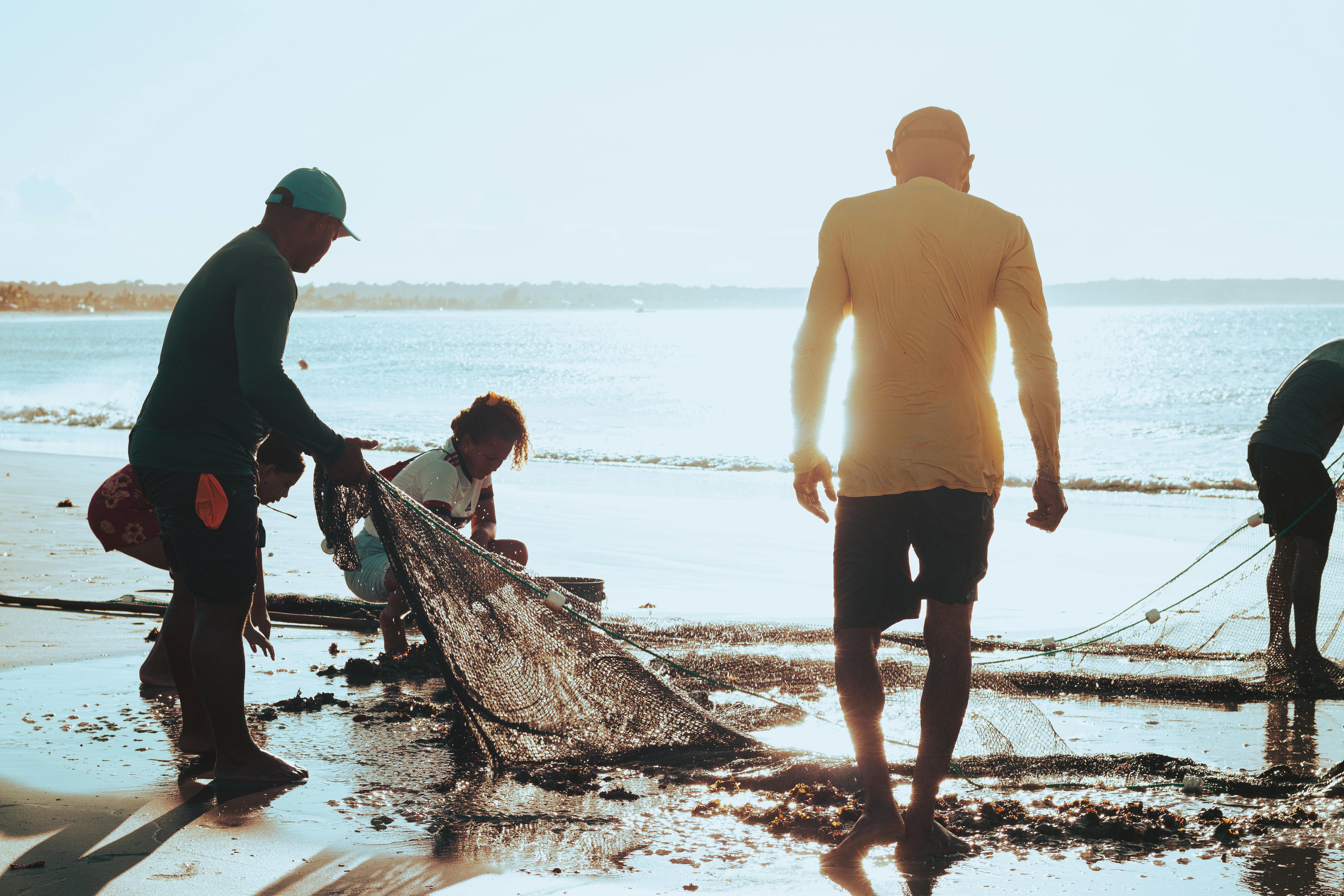 Fishing at sea · Free Stock Photo