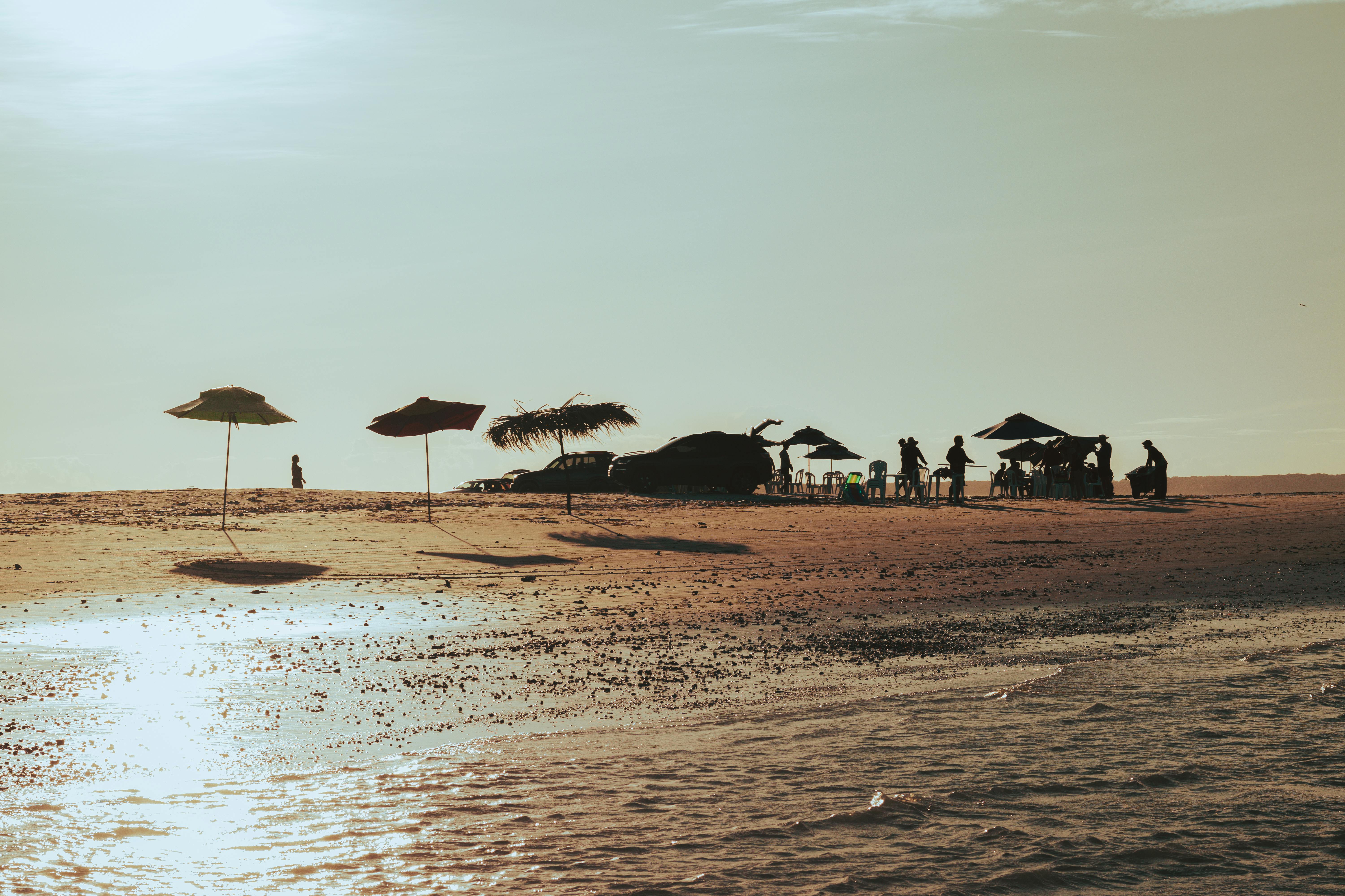 Brazilian Beach Camping · Free Stock Photo