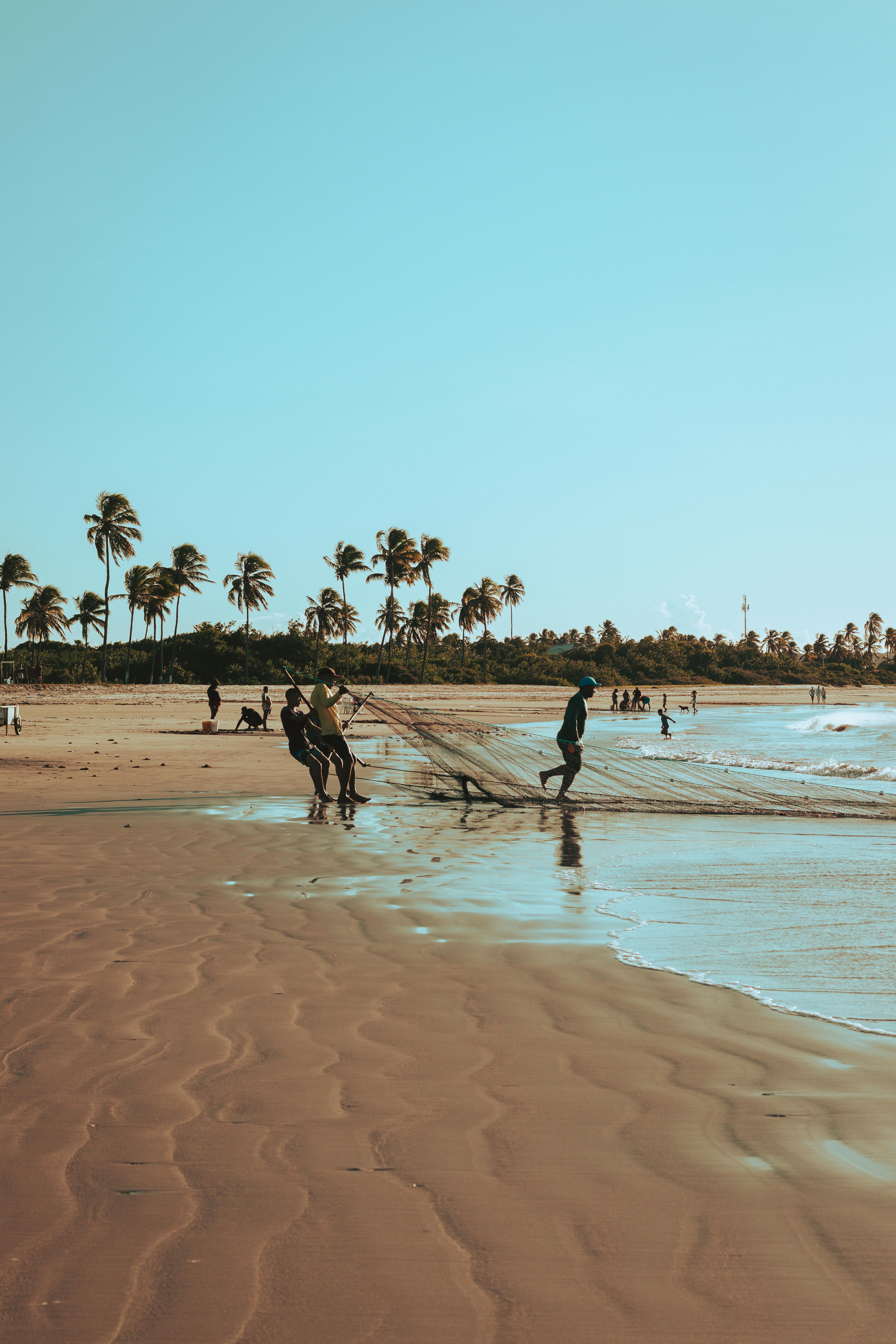 Marine Litter Fishing Photos, Download The BEST Free Marine Litter ...