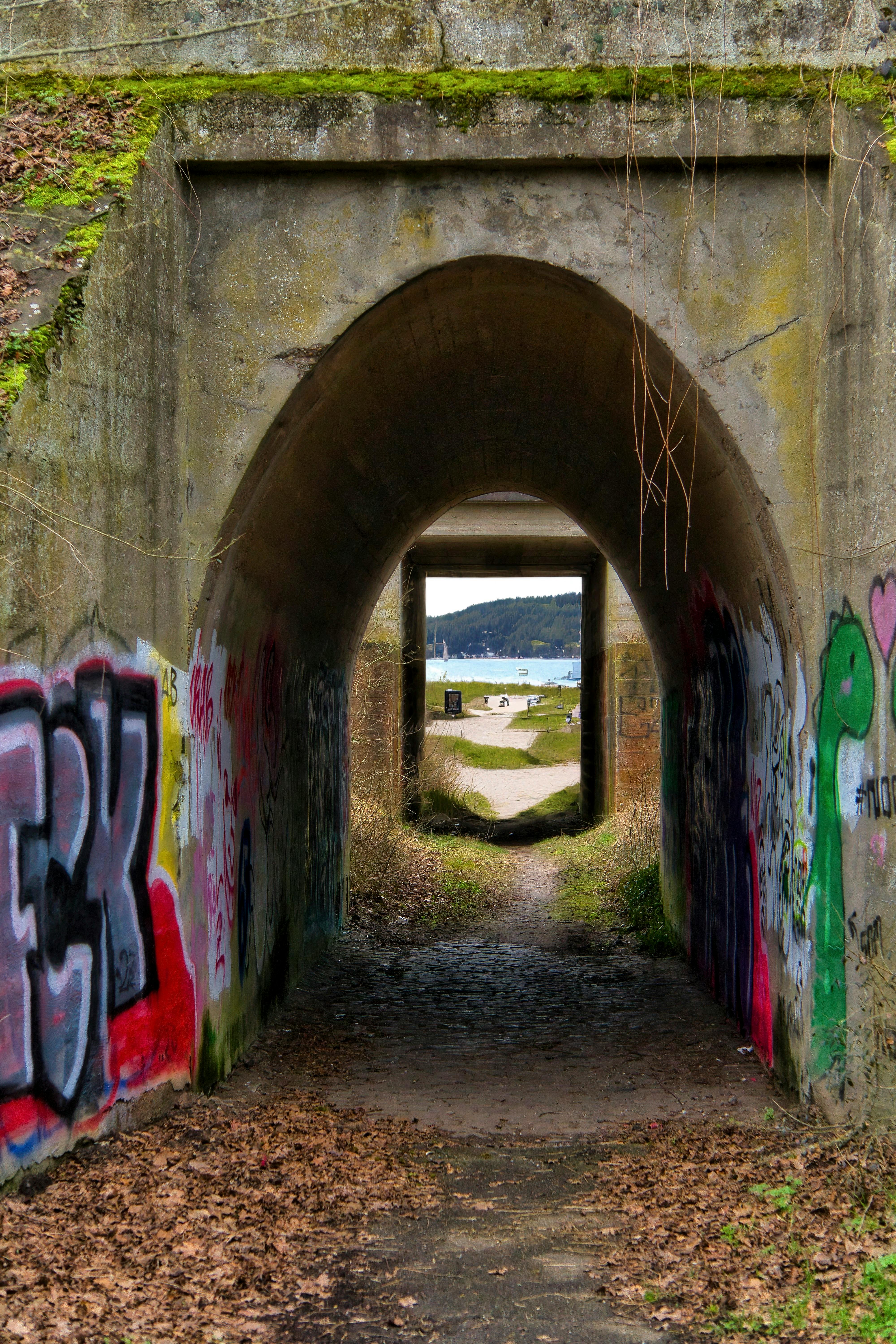 Alice Bridges Photos, Download The BEST Free Alice Bridges Stock Photos ...