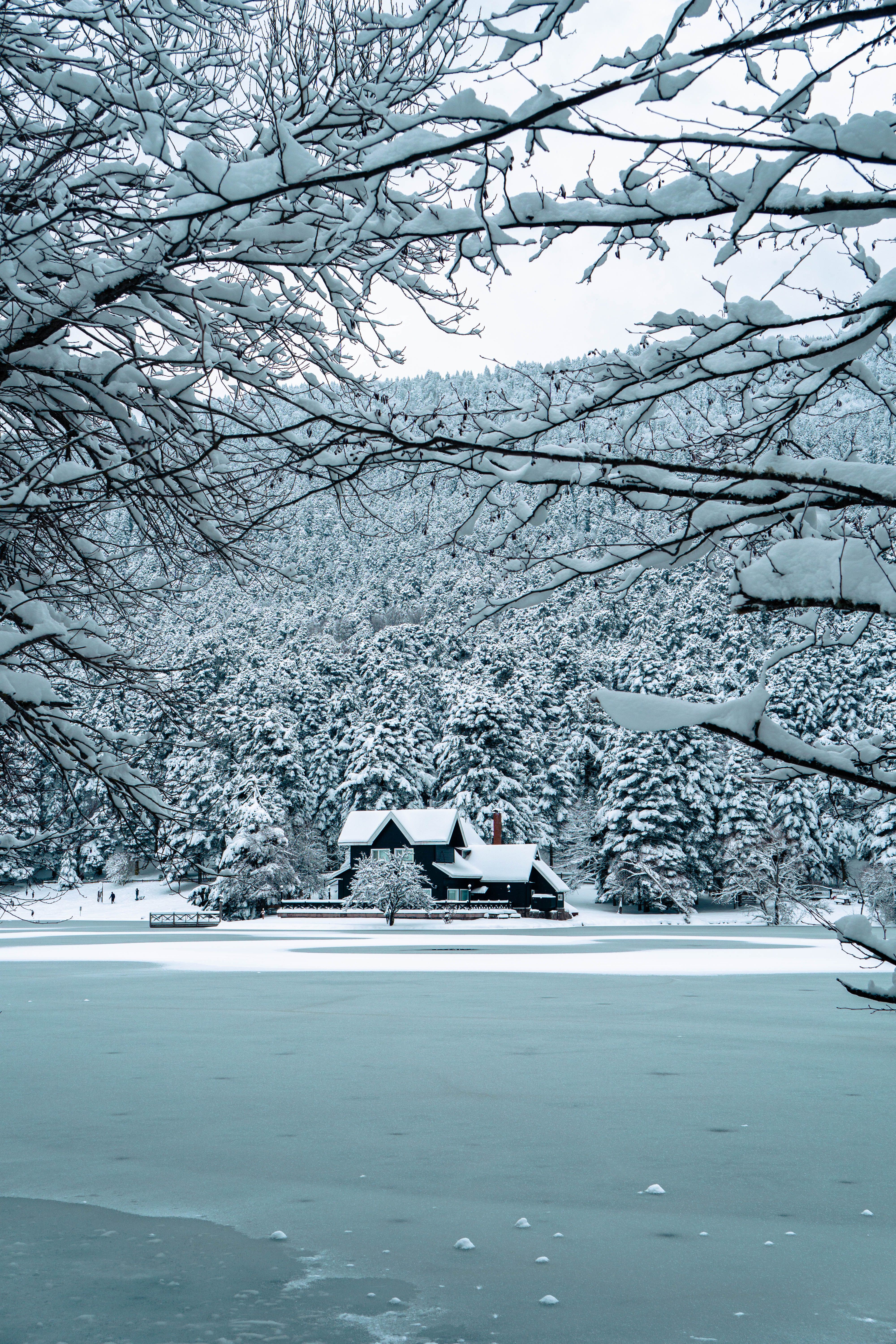 Small Cottage House Covered with Snow by a Frozen Lake · Free Stock Photo