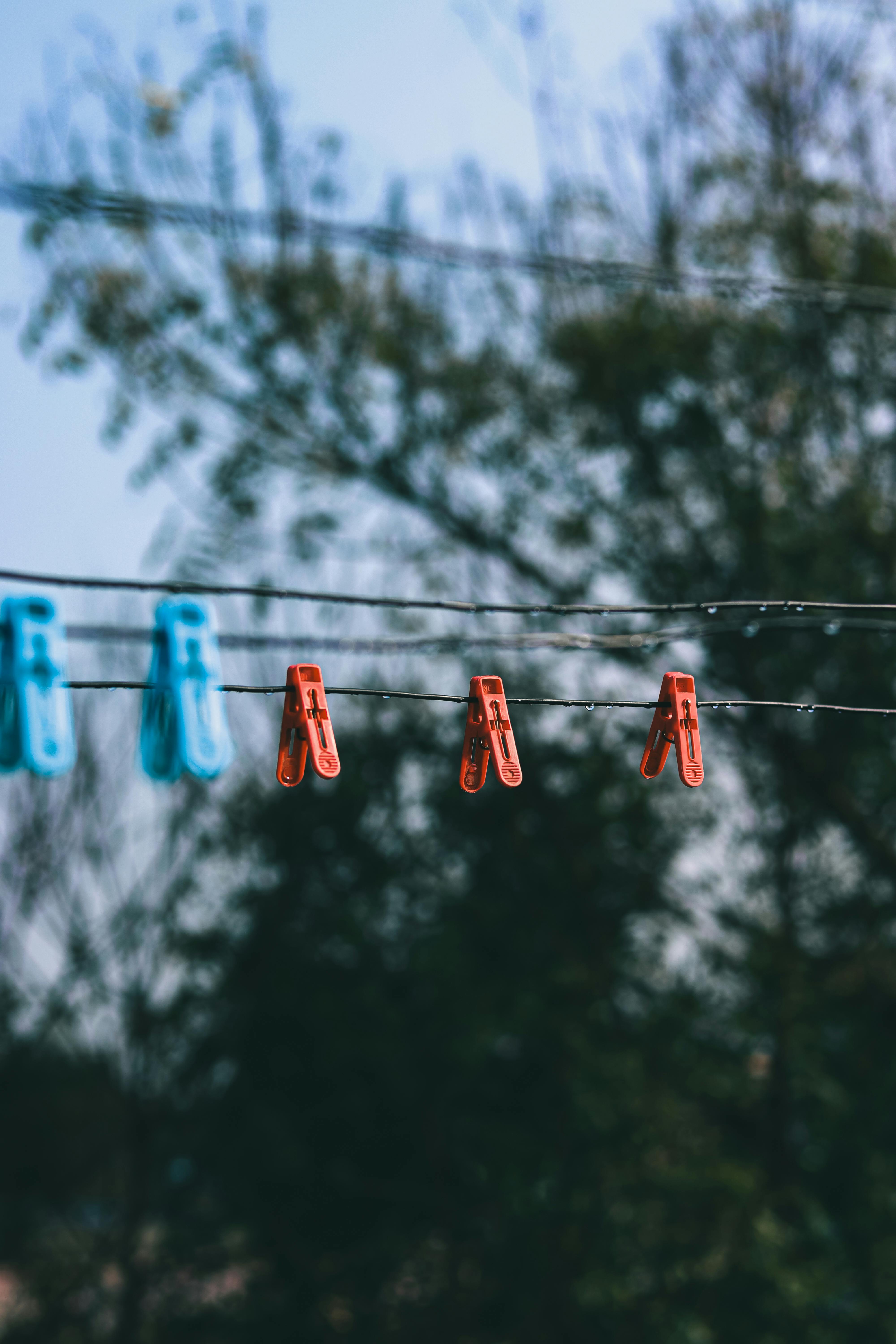 Pegs Hanging on Strings · Free Stock Photo