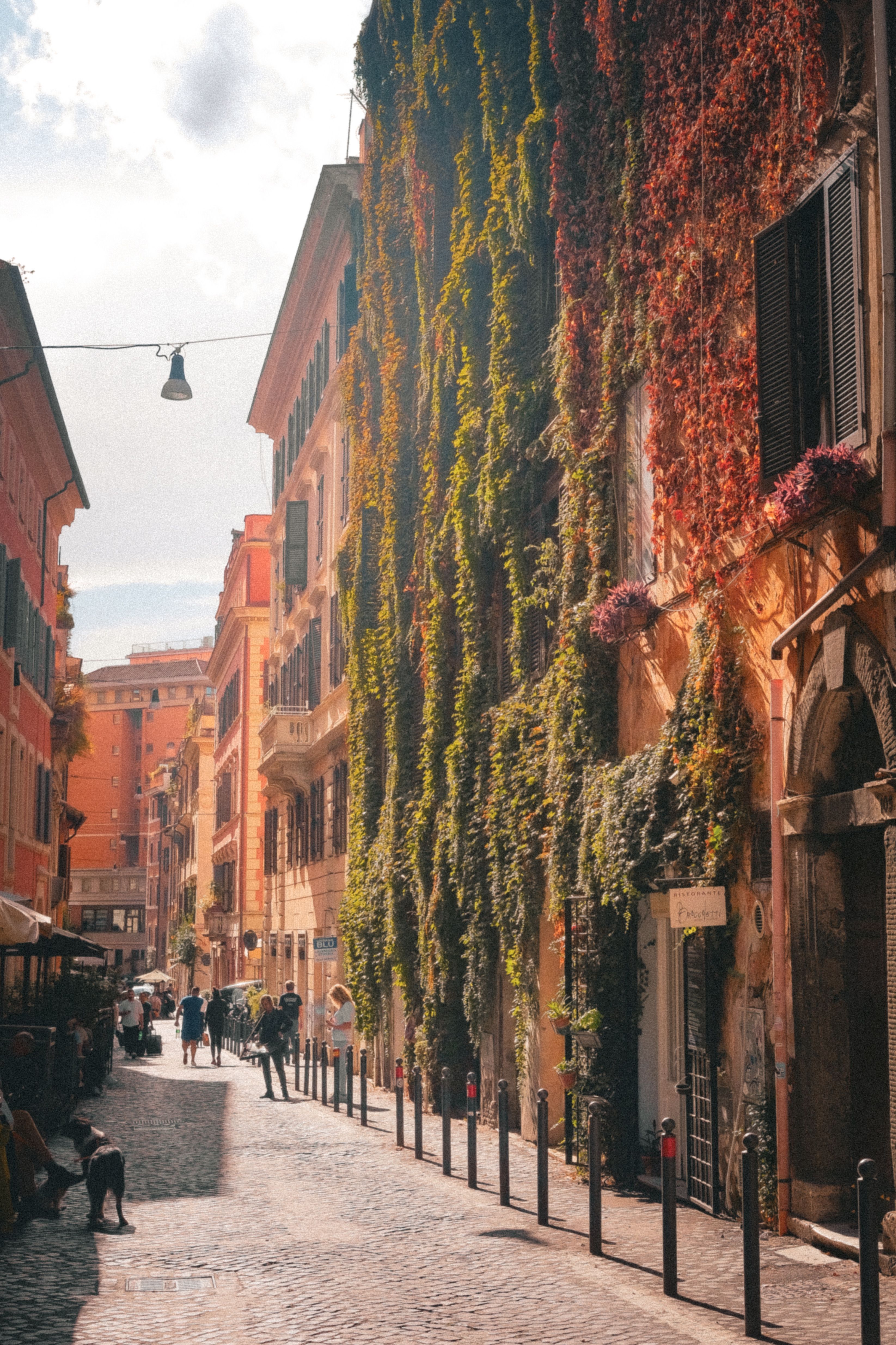 Overgrown Building and Street · Free Stock Photo