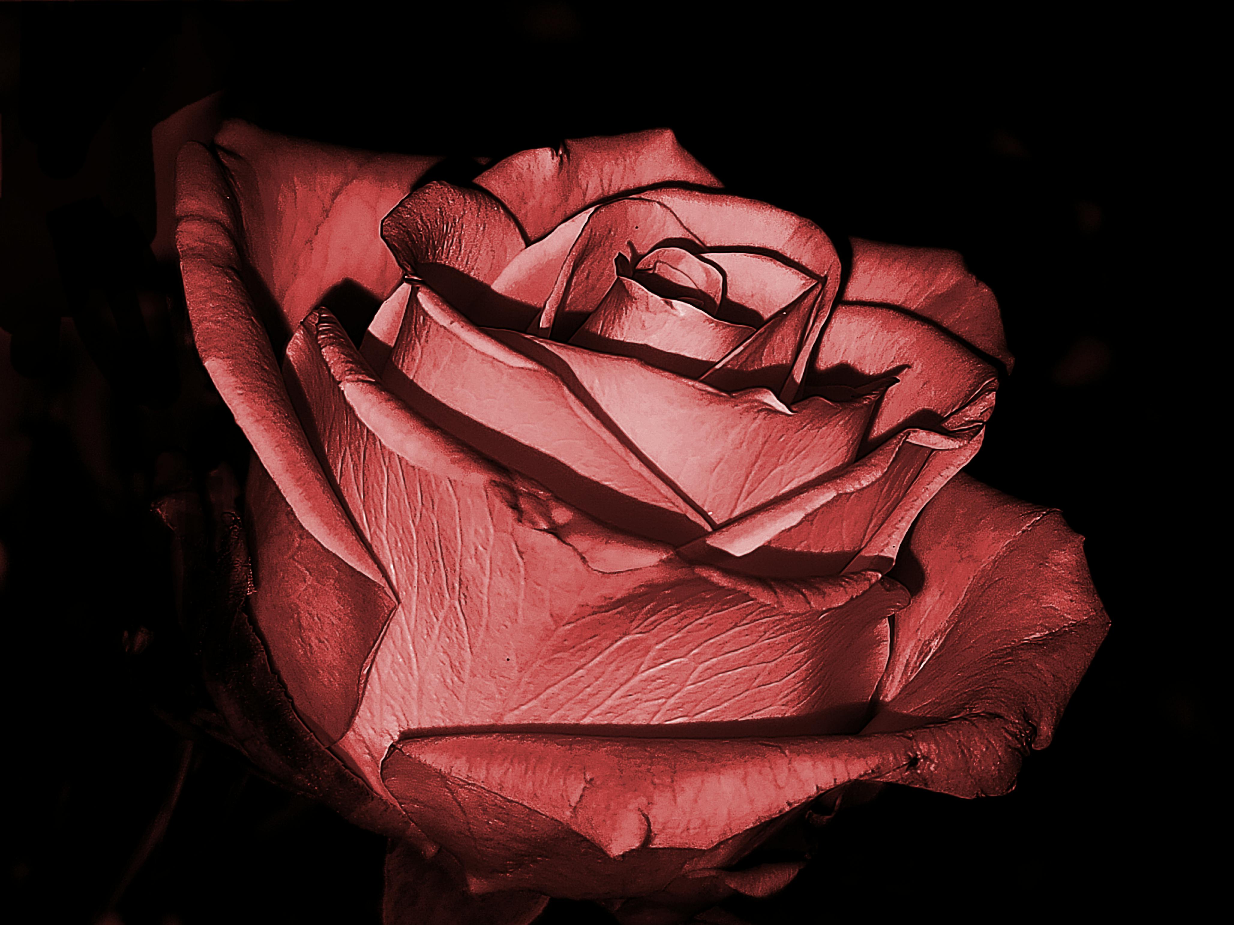 Bud Jenkins – Fotografia