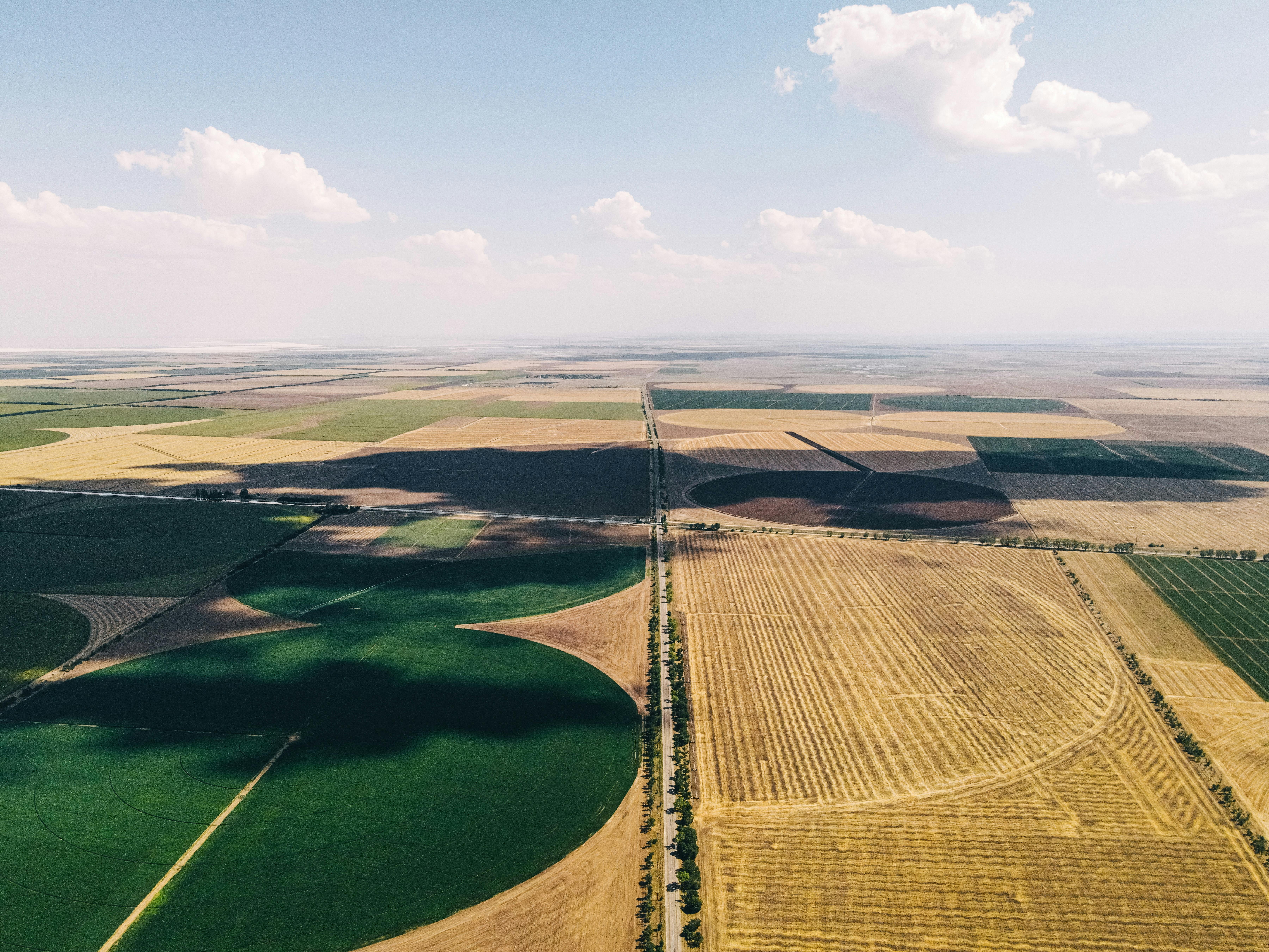 Birds Eye View of Rural Fields · Free Stock Photo