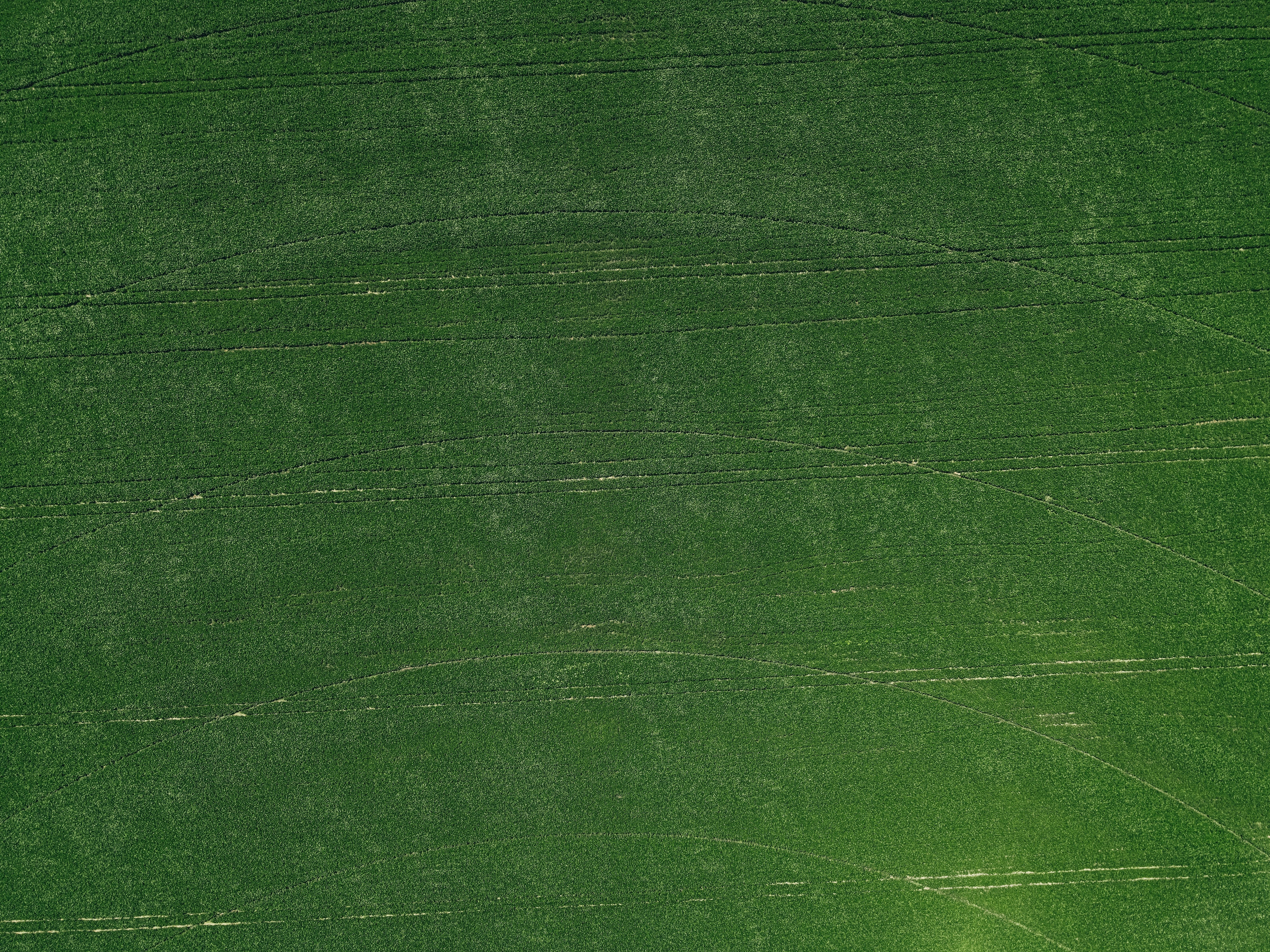 White, Plain Surface · Free Stock Photo