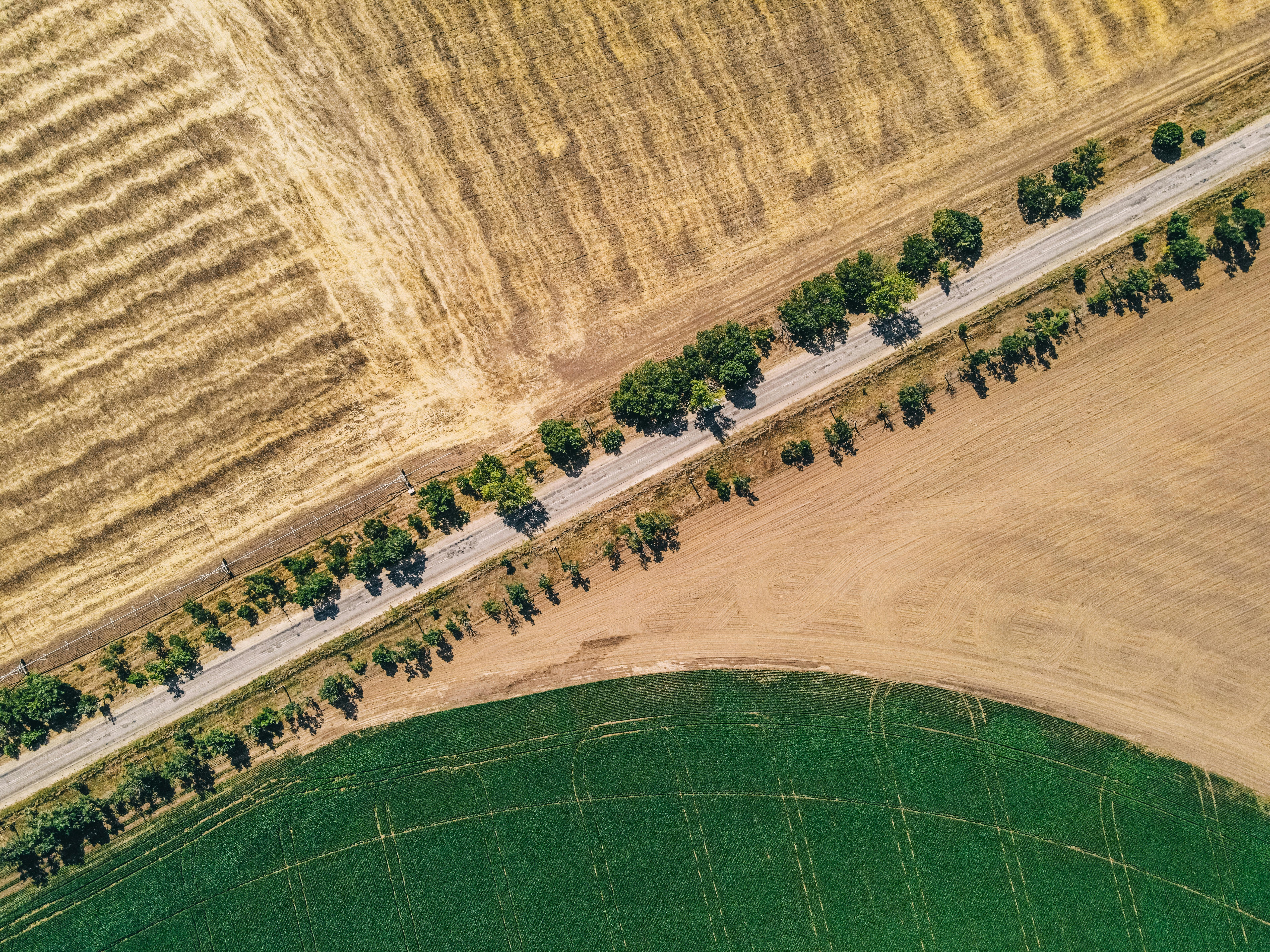 Road between Rural Fields · Free Stock Photo