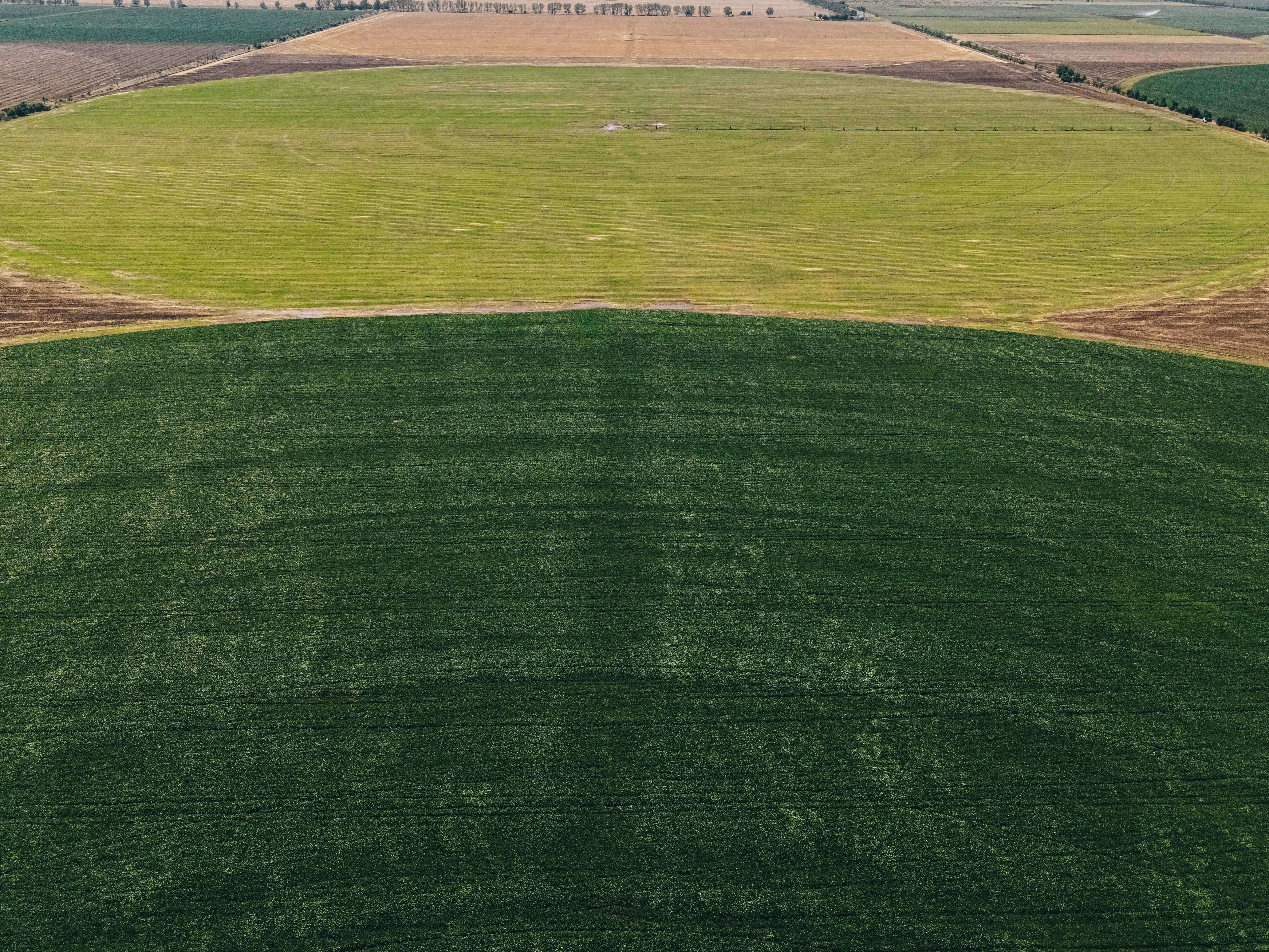 Foto profissional gratuita de aérea de terras agrícolas, agricultura ...