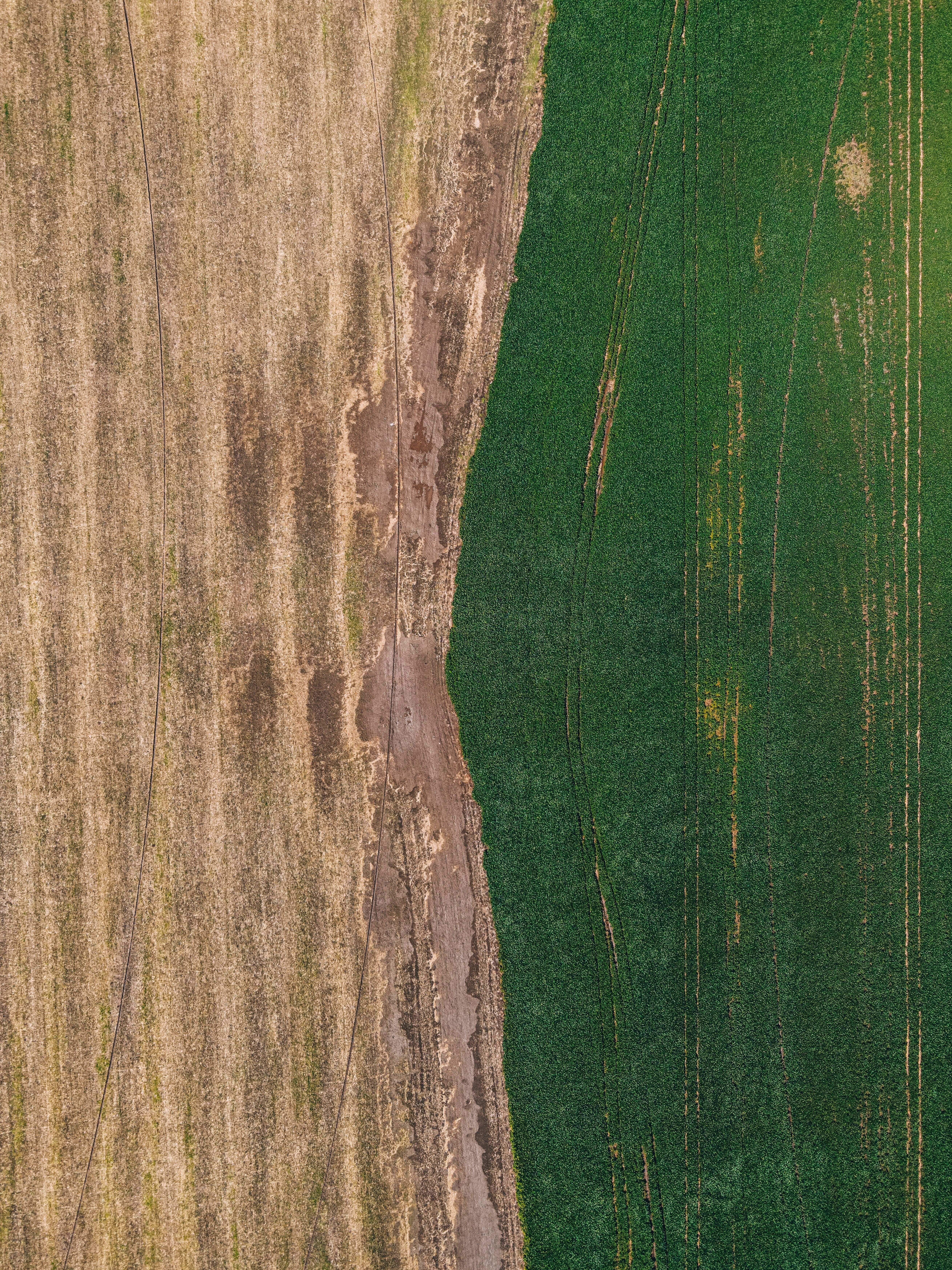An aerial view of a field with a green and brown area · Free Stock Photo