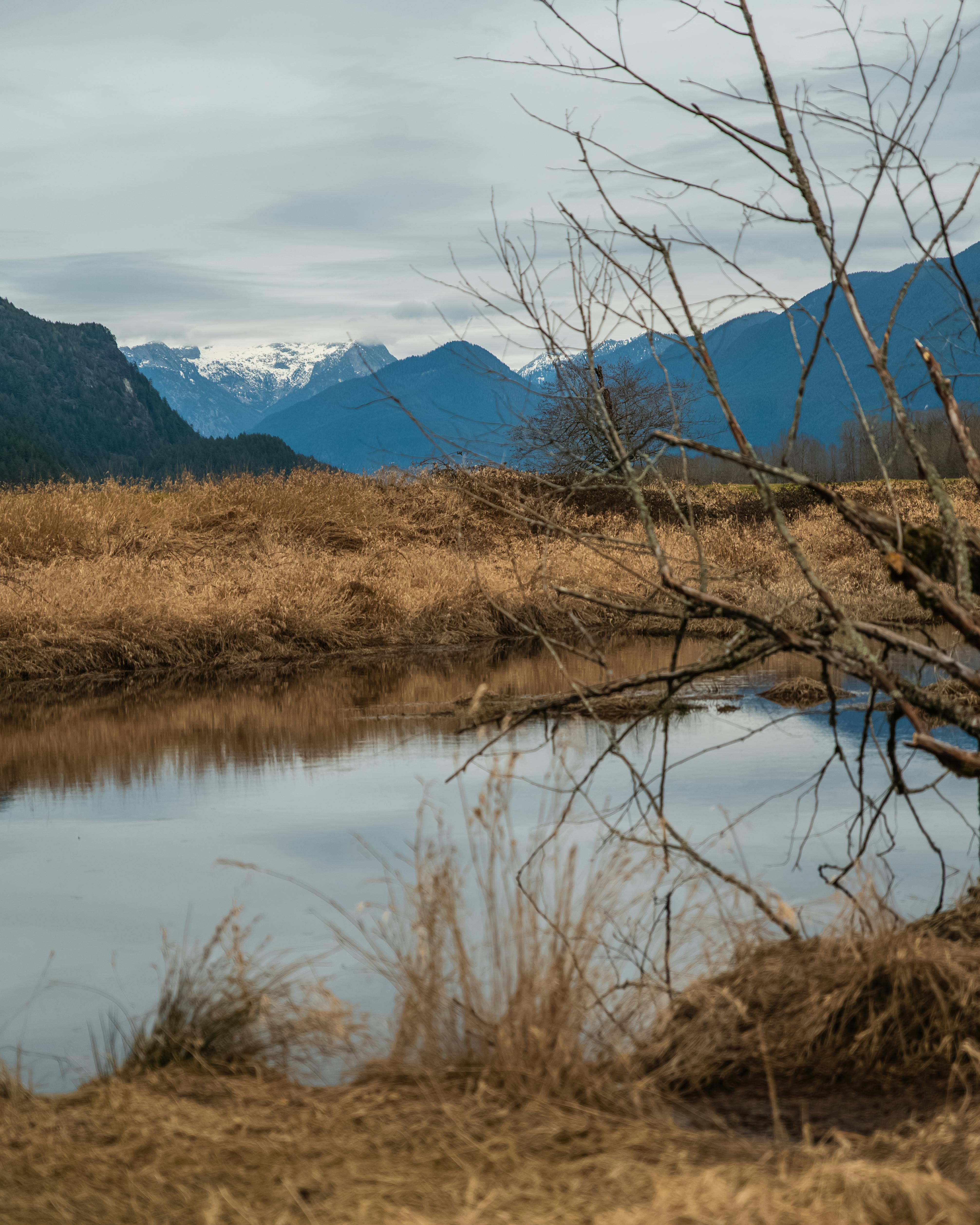 Srinivas Raghavan - Fotografía